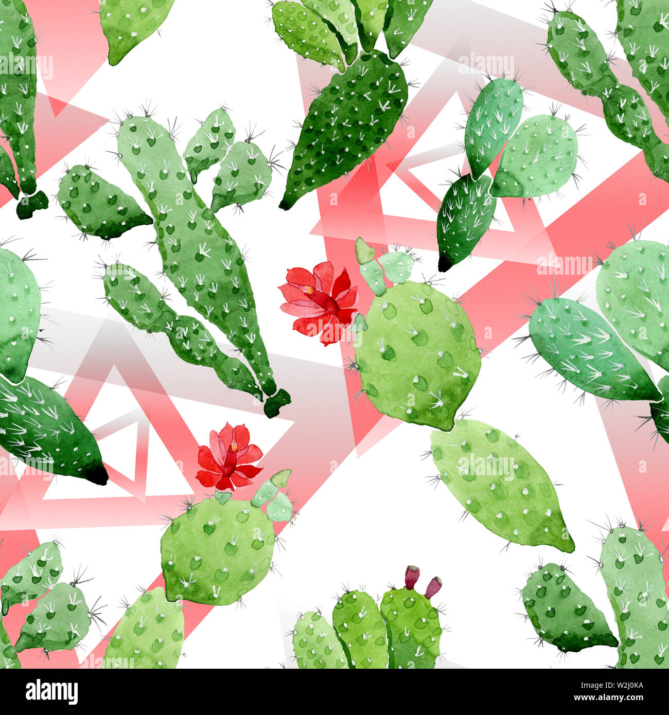 Green cactus floral botanical flowers. Wild spring leaf wildflower ...