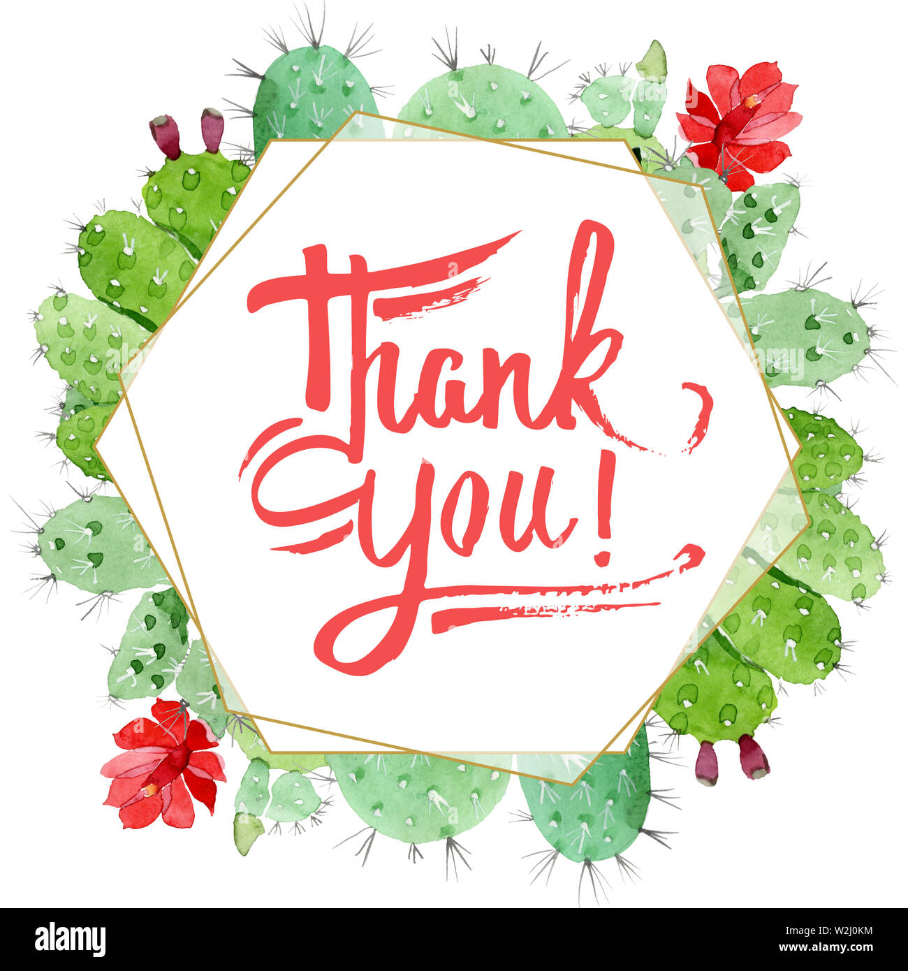 Green cactus floral botanical flowers. Wild spring leaf wildflower ...