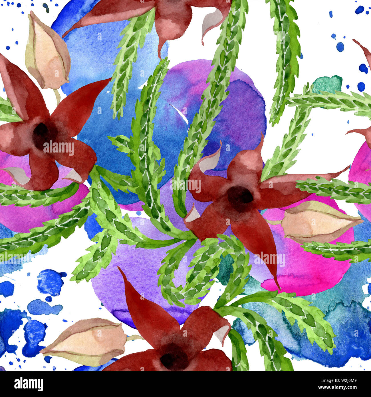 Green cactus floral botanical flower. Wild spring leaf wildflower ...