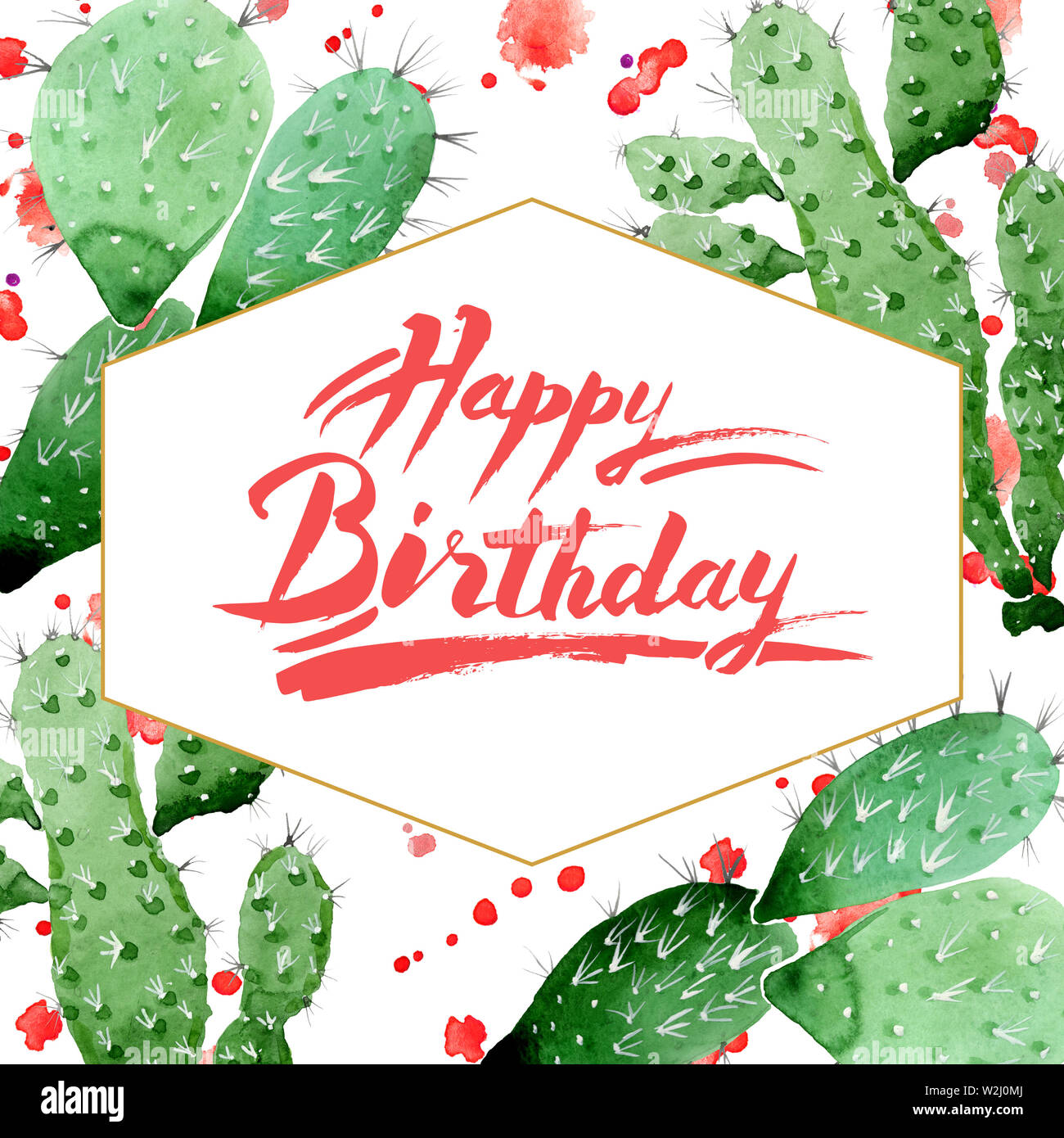 Green cactus floral botanical flowers. Wild spring leaf wildflower ...