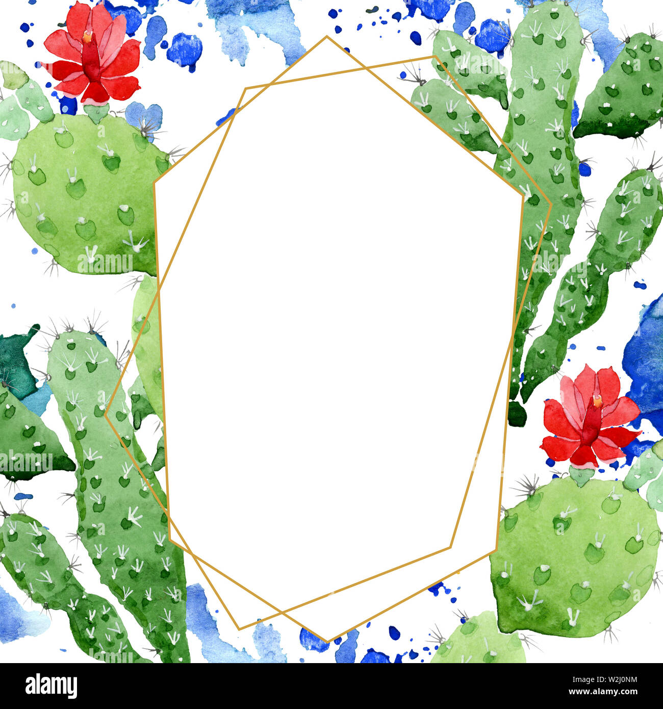 Green cactus floral botanical flowers. Wild spring leaf wildflower ...