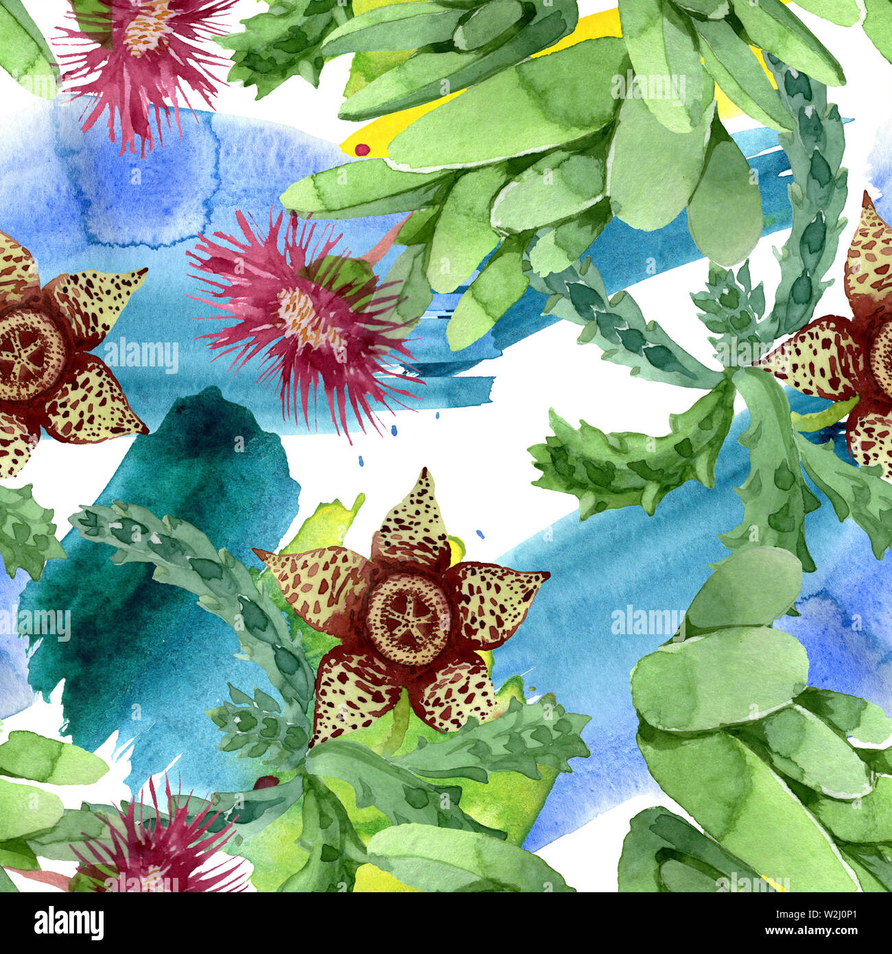 Green cactus floral botanical flower. Wild spring leaf wildflower ...