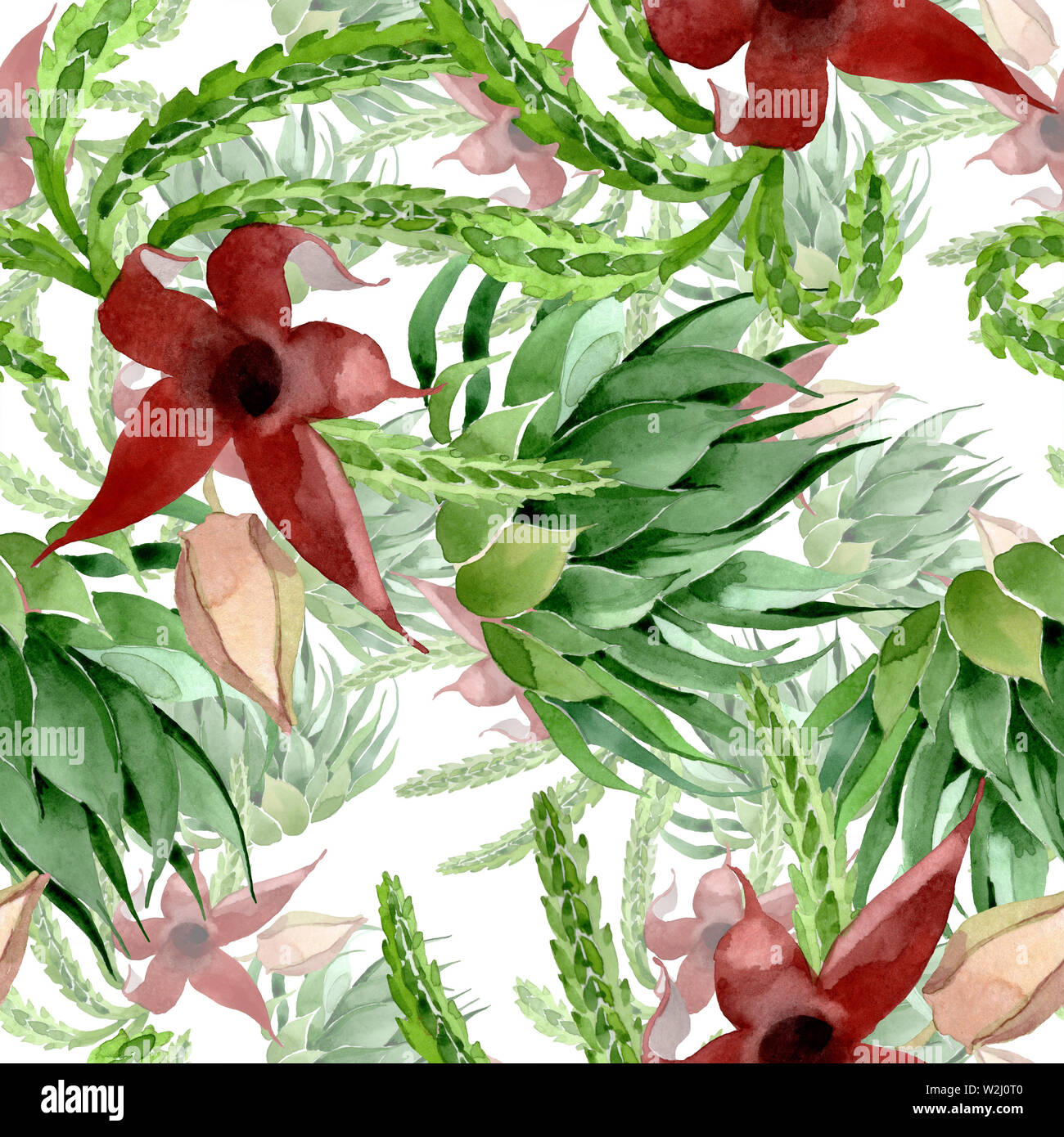 Green cactus floral botanical flower. Wild spring leaf wildflower ...