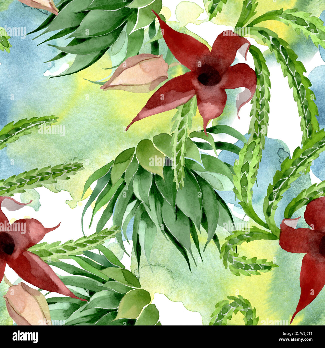 Green cactus floral botanical flower. Wild spring leaf wildflower ...