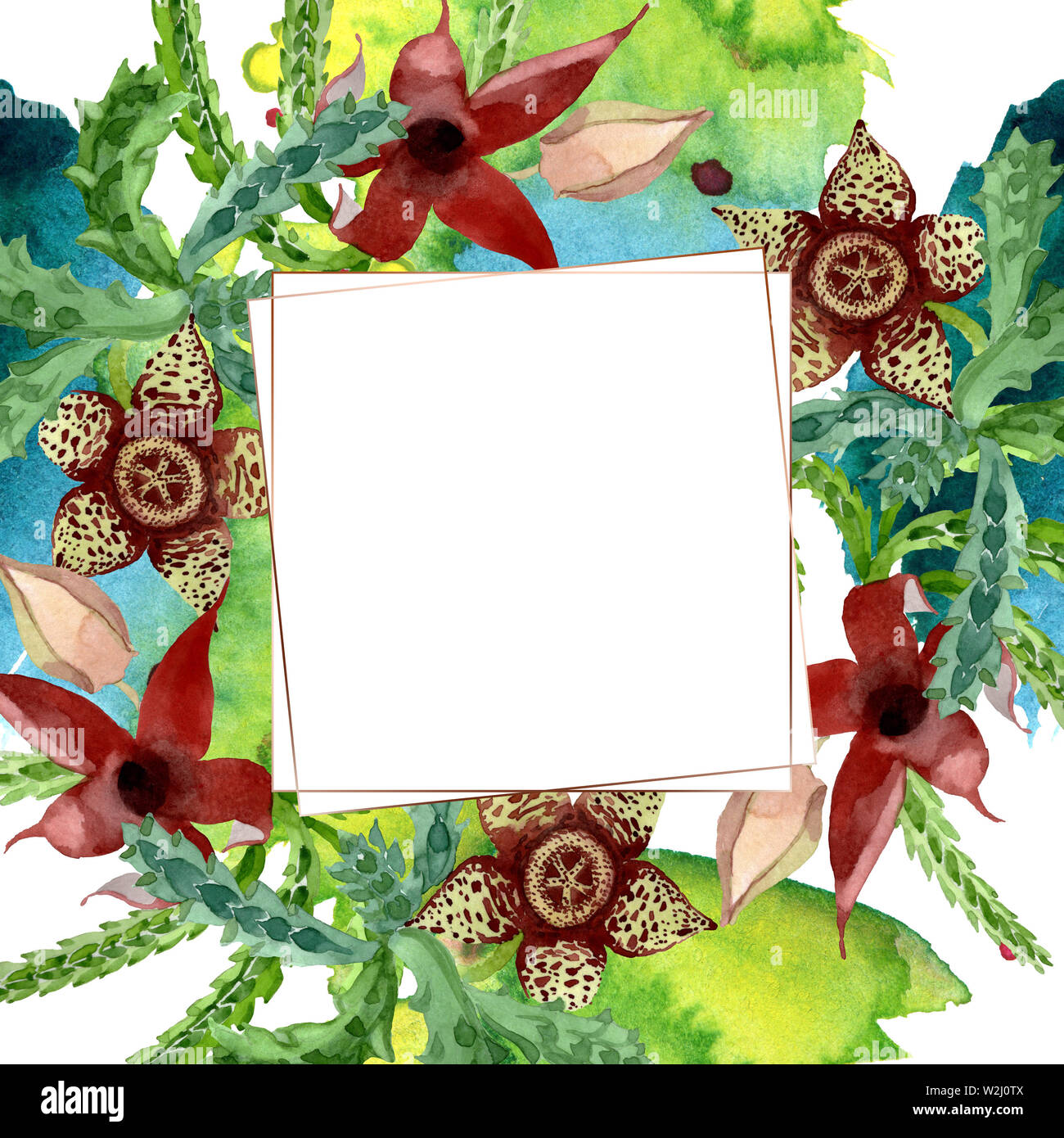 Green cactus floral botanical flower. Wild spring leaf wildflower ...