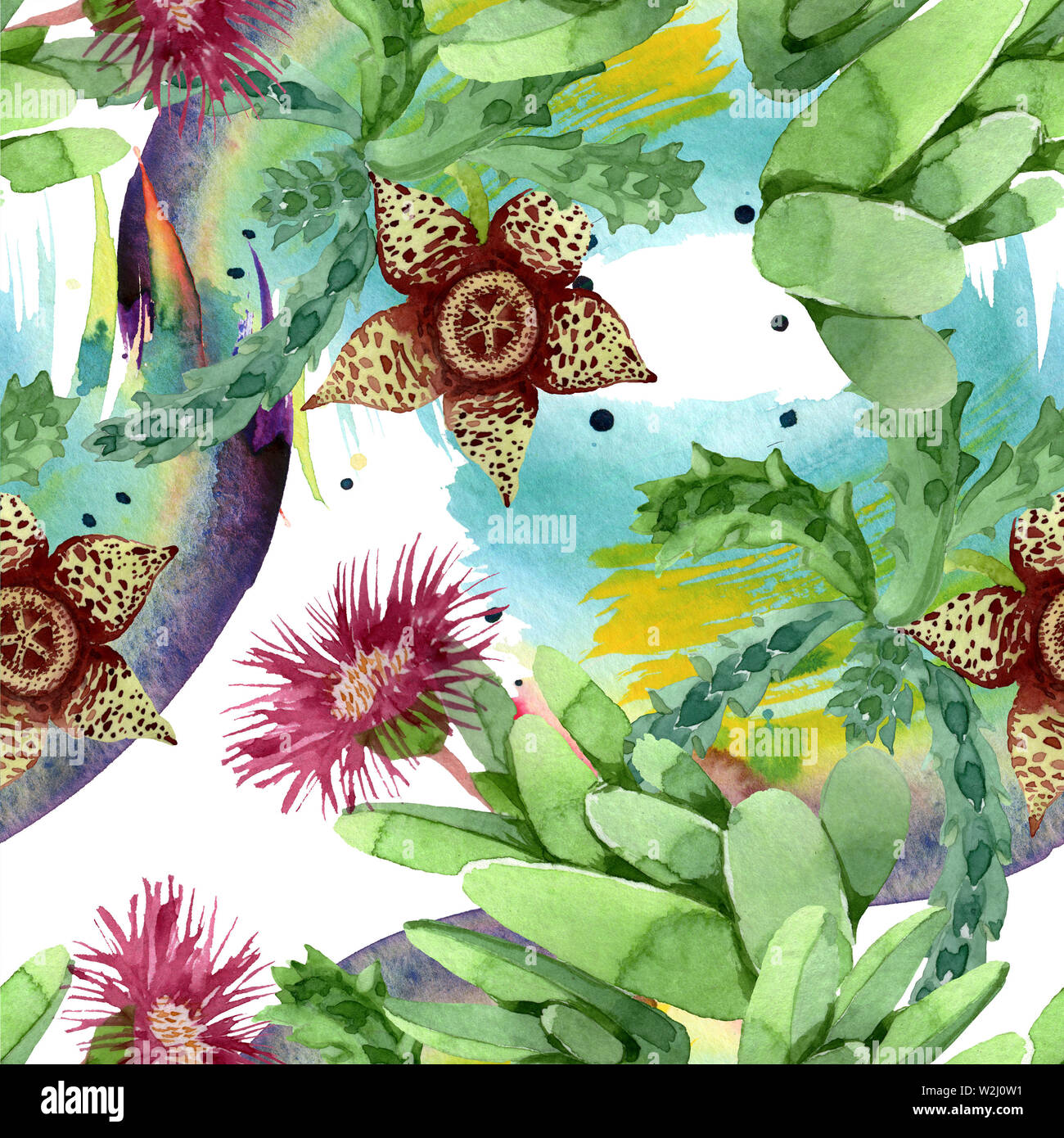 Green cactus floral botanical flower. Wild spring leaf wildflower ...