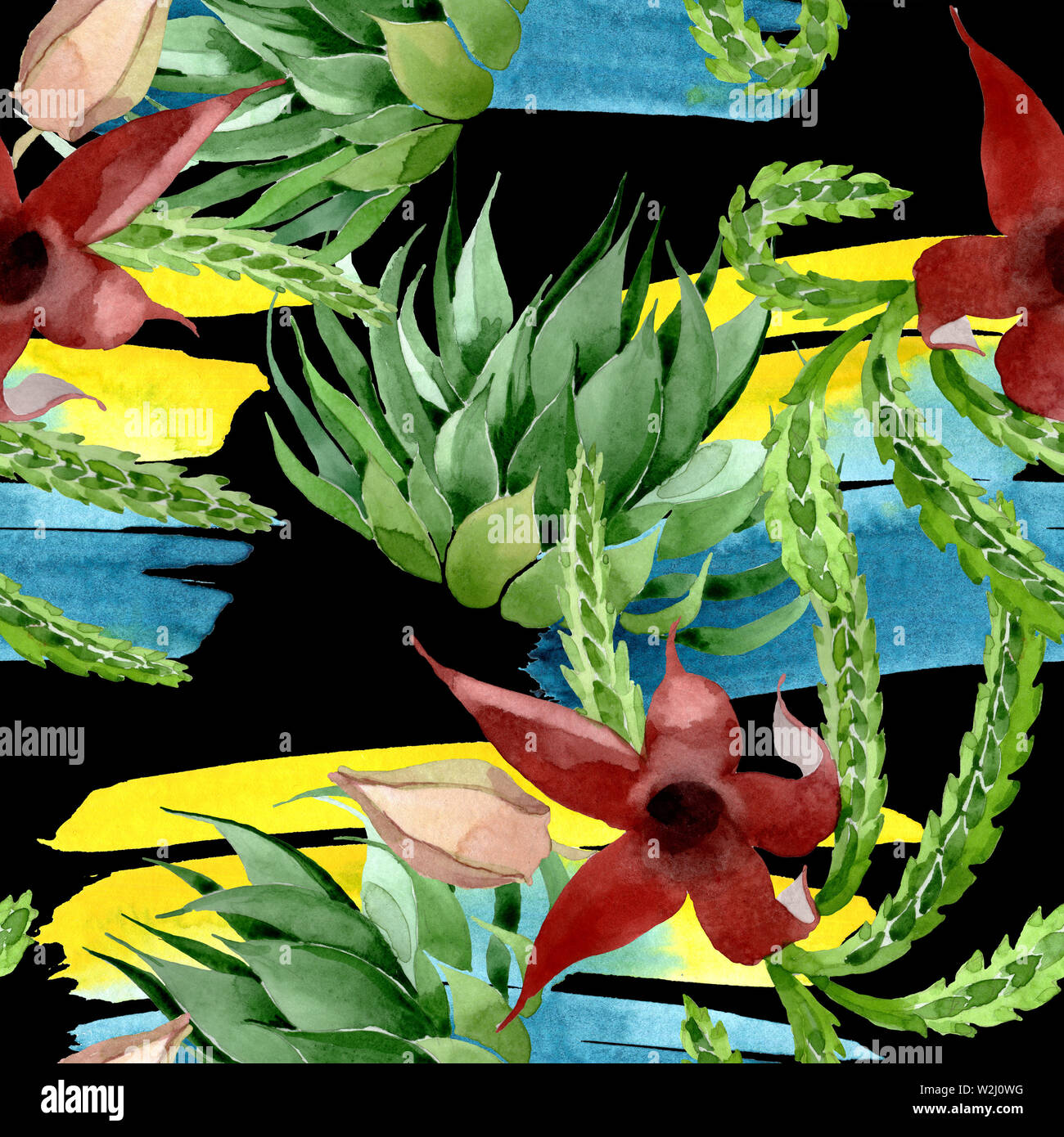 Green cactus floral botanical flower. Wild spring leaf wildflower ...