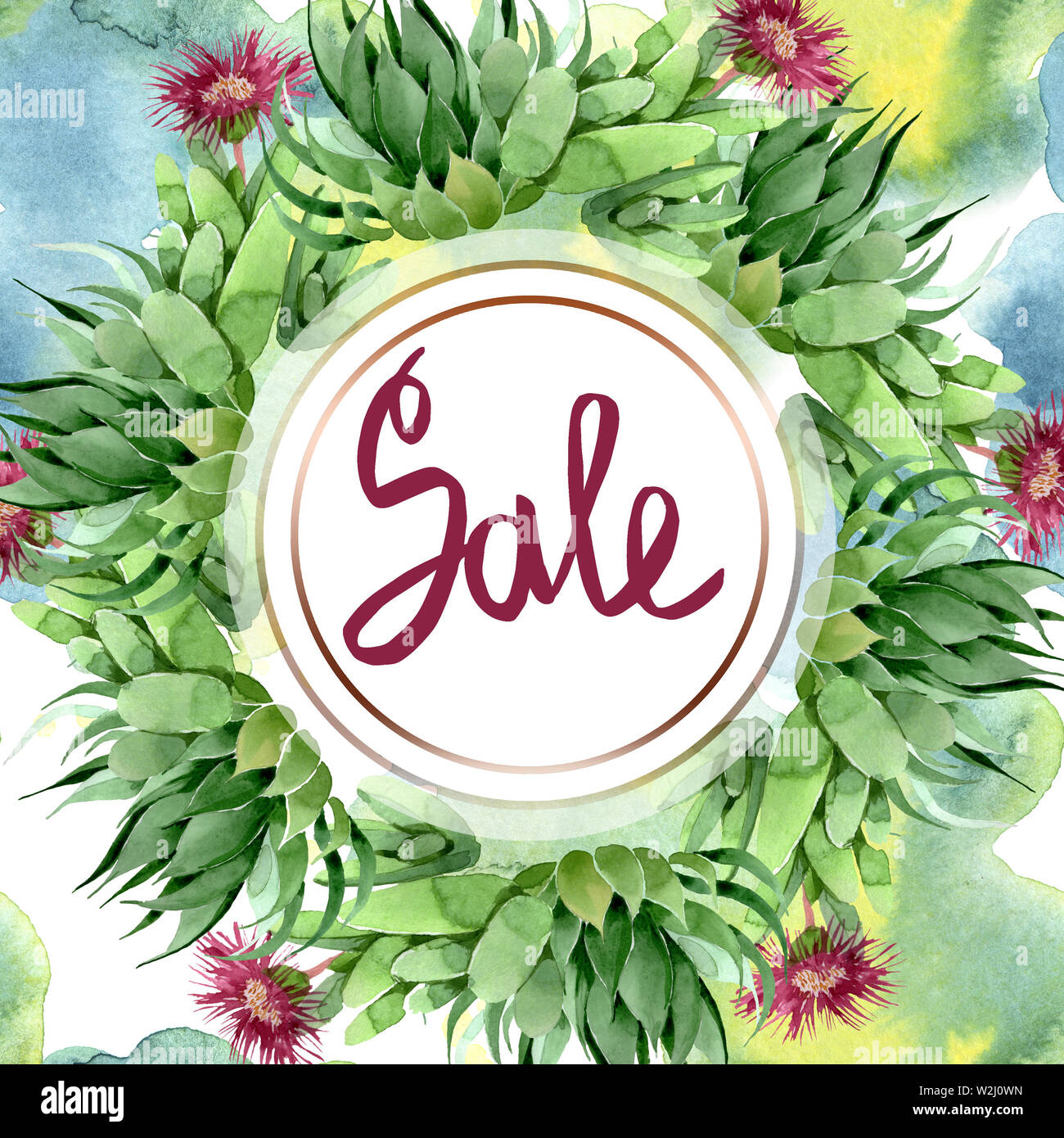 Green cactus floral botanical flower. Wild spring leaf wildflower ...