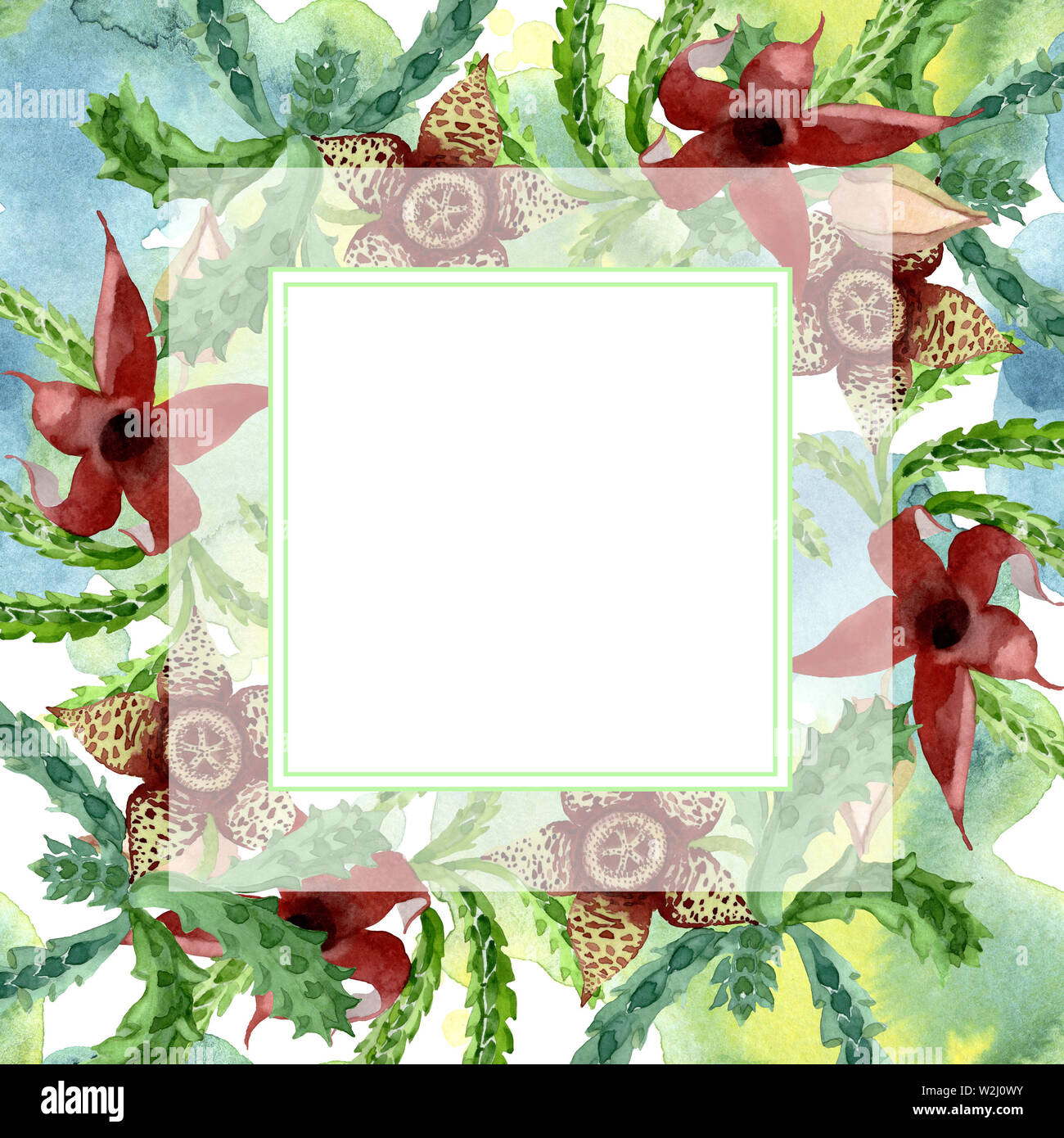 Green cactus floral botanical flower. Wild spring leaf wildflower ...