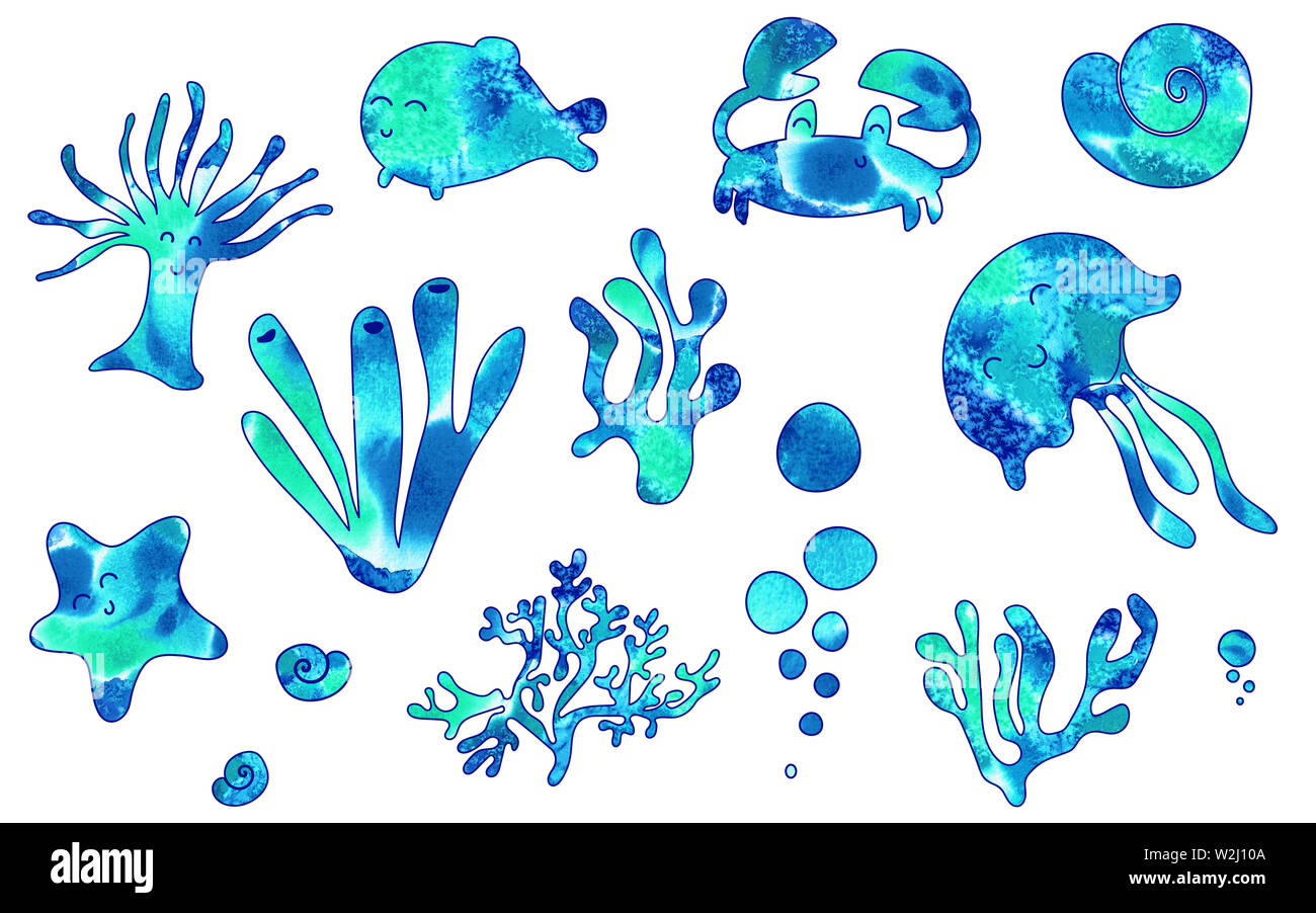 Smiling Star Fish High Resolution Stock Photography and Images - Alamy