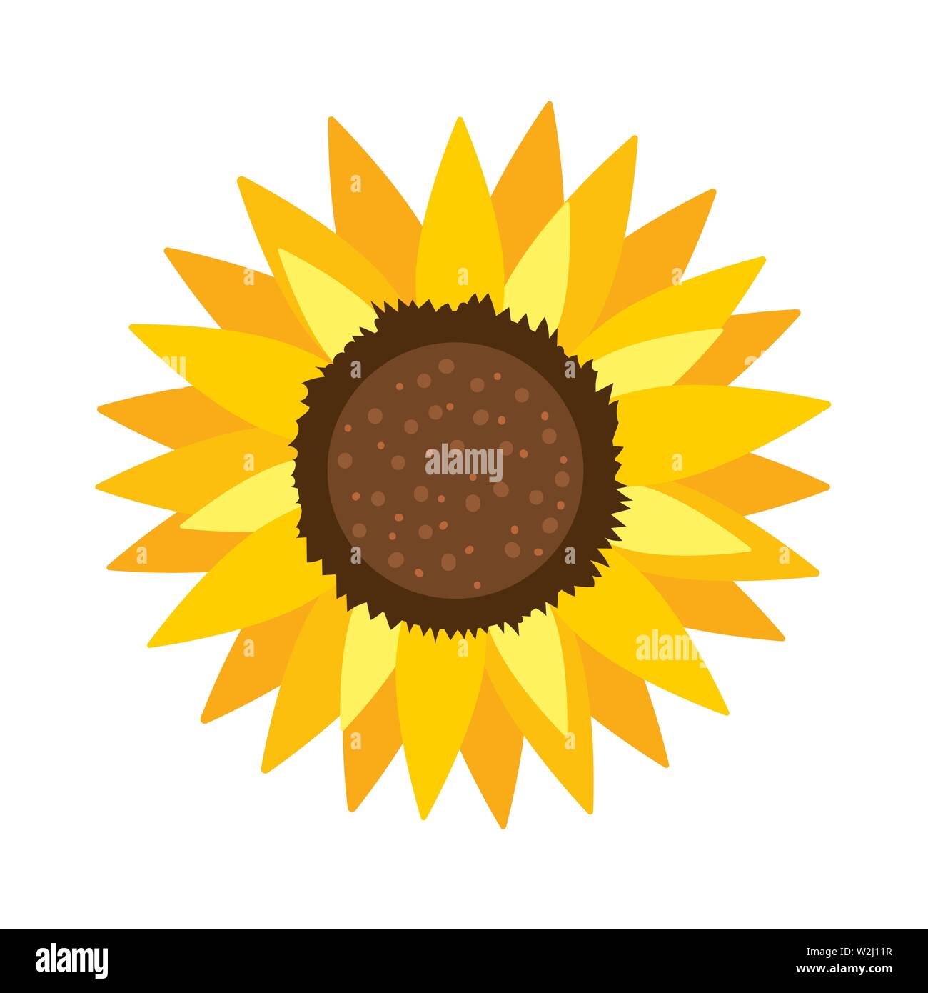 floral sunflower cartoon vector illustration graphic design Stock ...