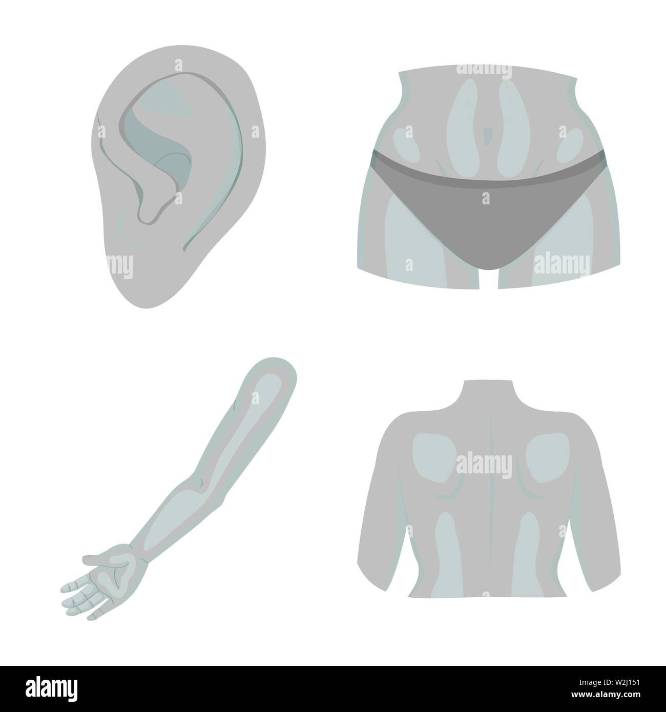 Vector illustration of body and part symbol. Collection of body and ...