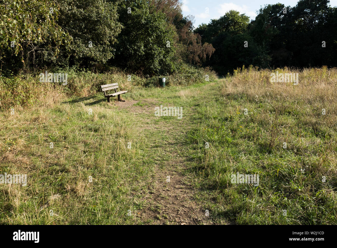 Pathways across Putney Common , London uk Stock Photo - Alamy