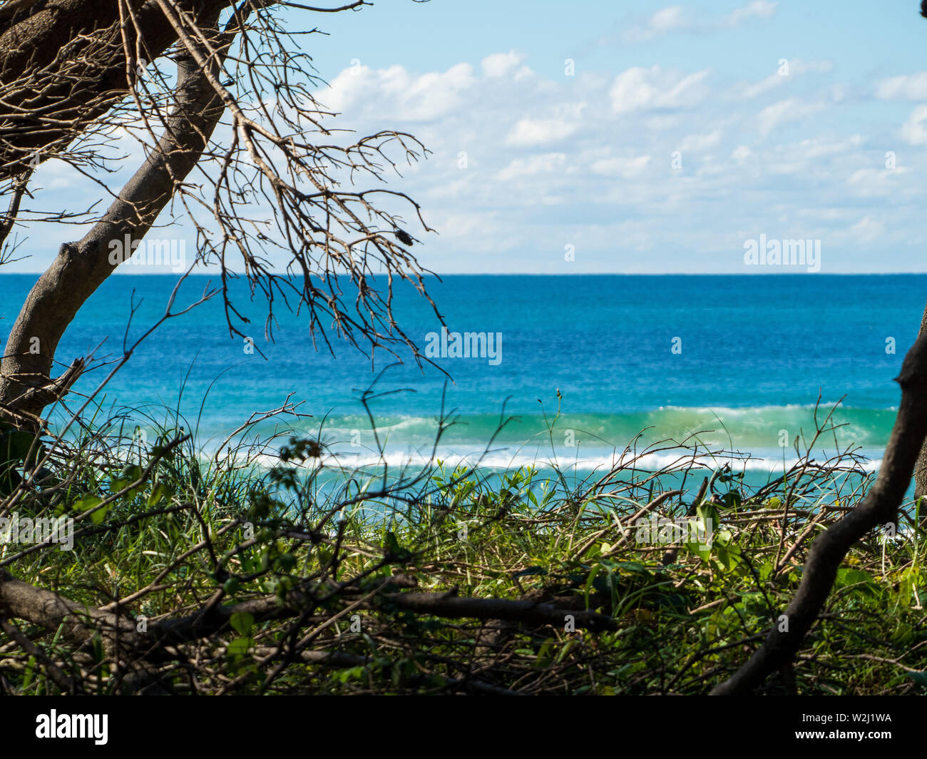 Beach scene framed by trees in front, with waves rolling in on the sea ...