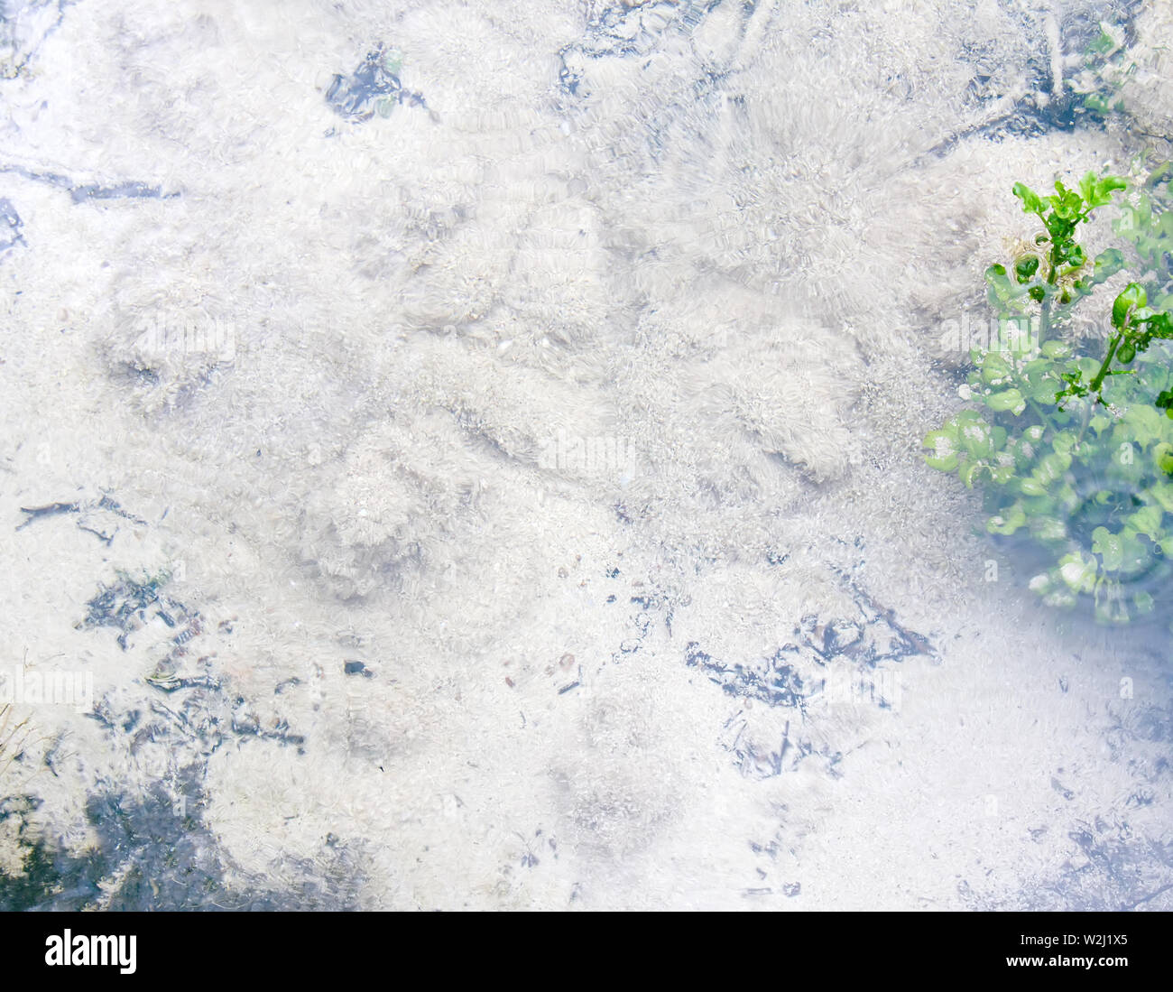 Spring crystal cleanest water, small wellhead, sandy bottom Stock Photo ...