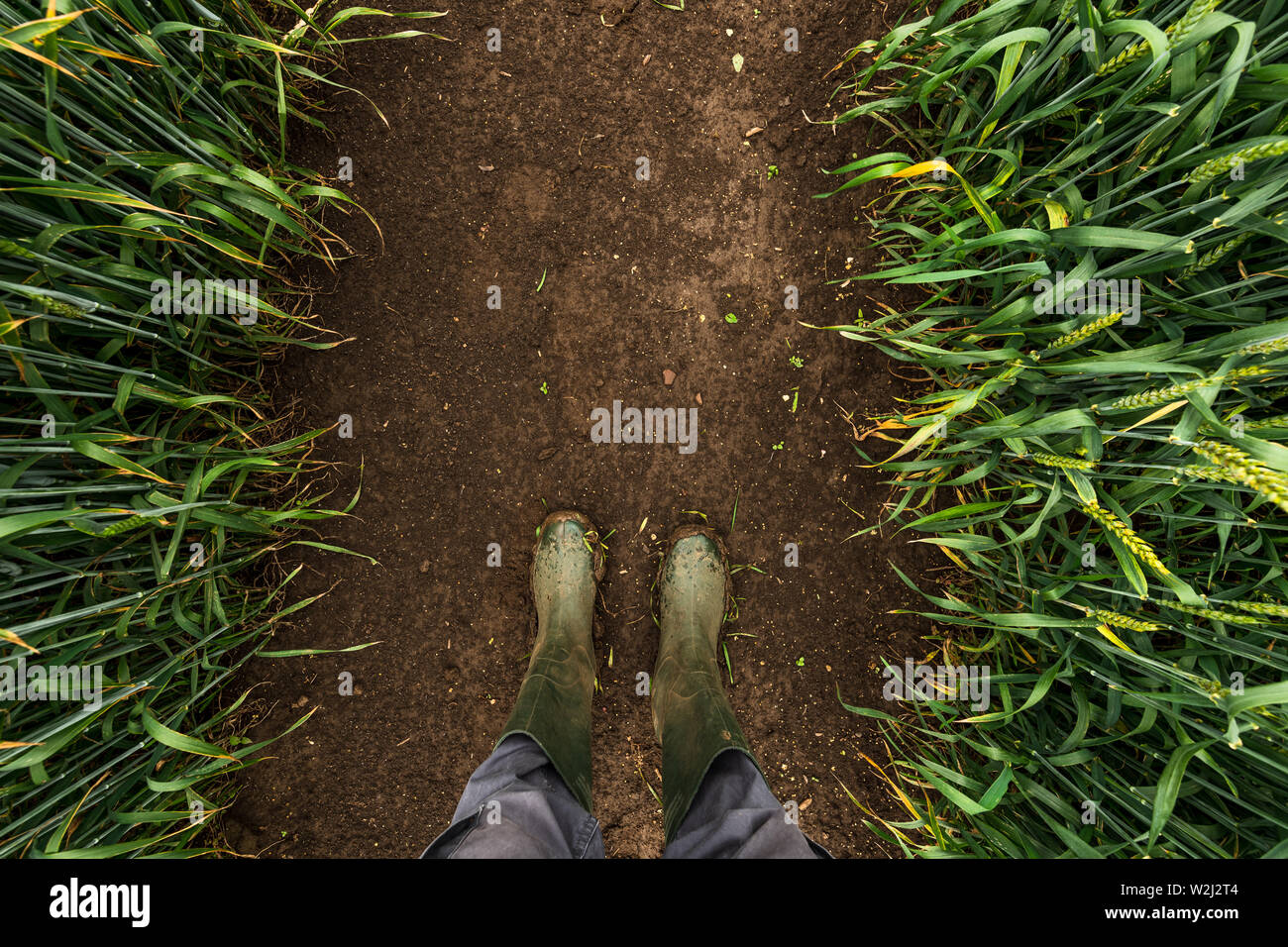 Wellington boot in mud hi-res stock photography and images - Alamy