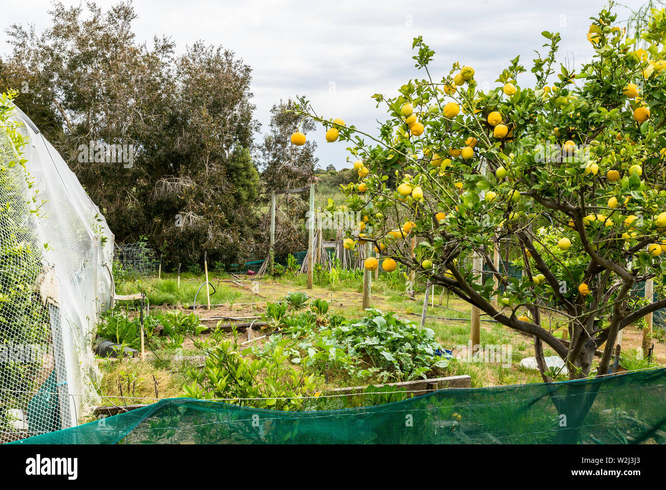 Old fencing hi-res stock photography and images - Alamy