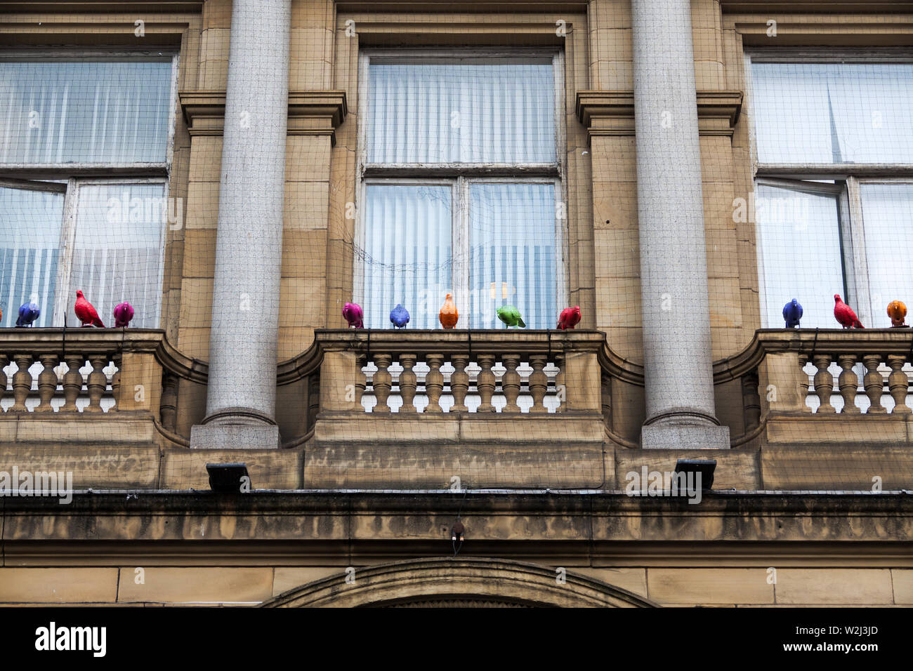 Stop the pigeon hi-res stock photography and images - Alamy