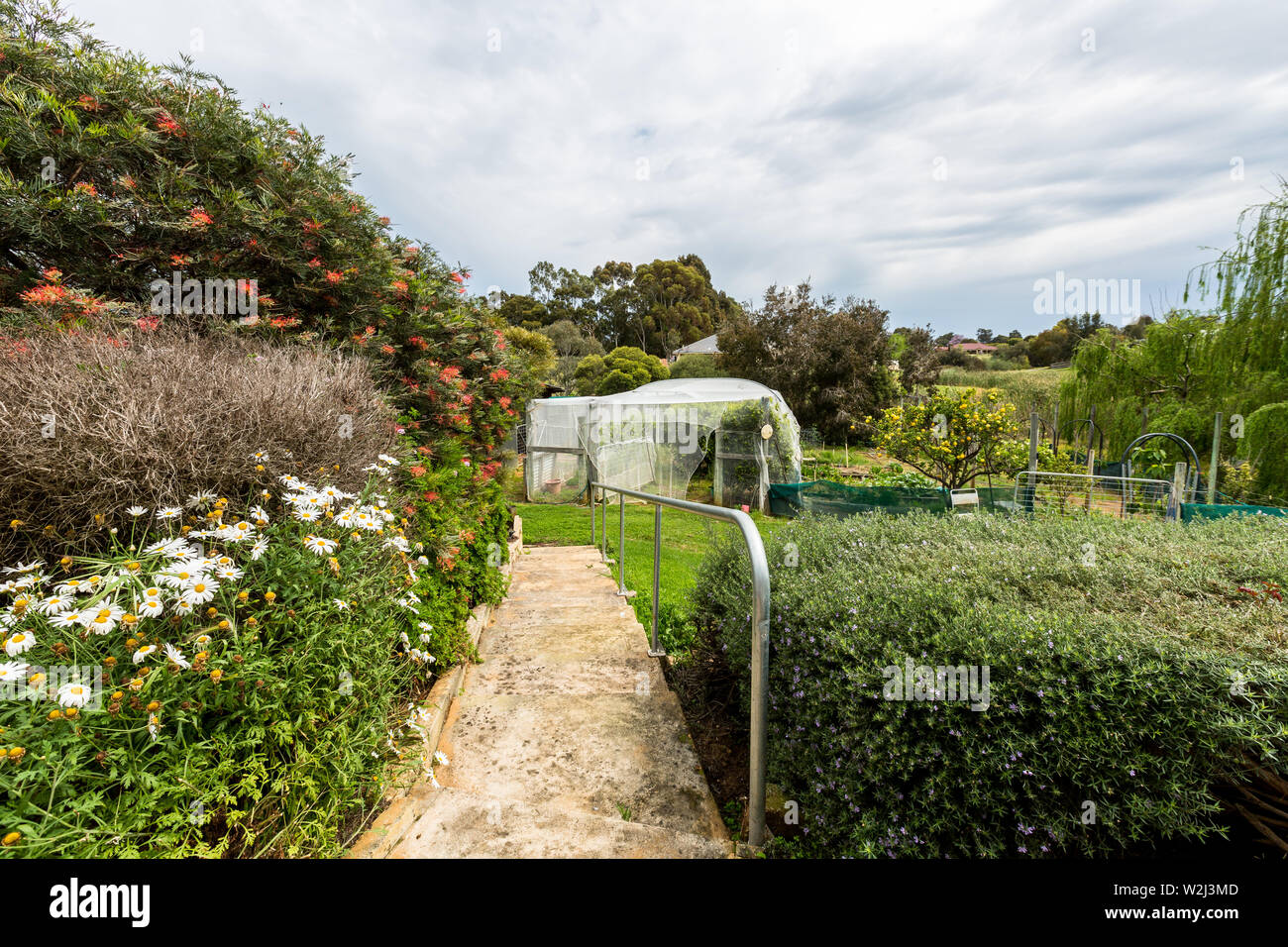 Stepped pathway down to covered fruit and vegetable garden Stock Photo ...