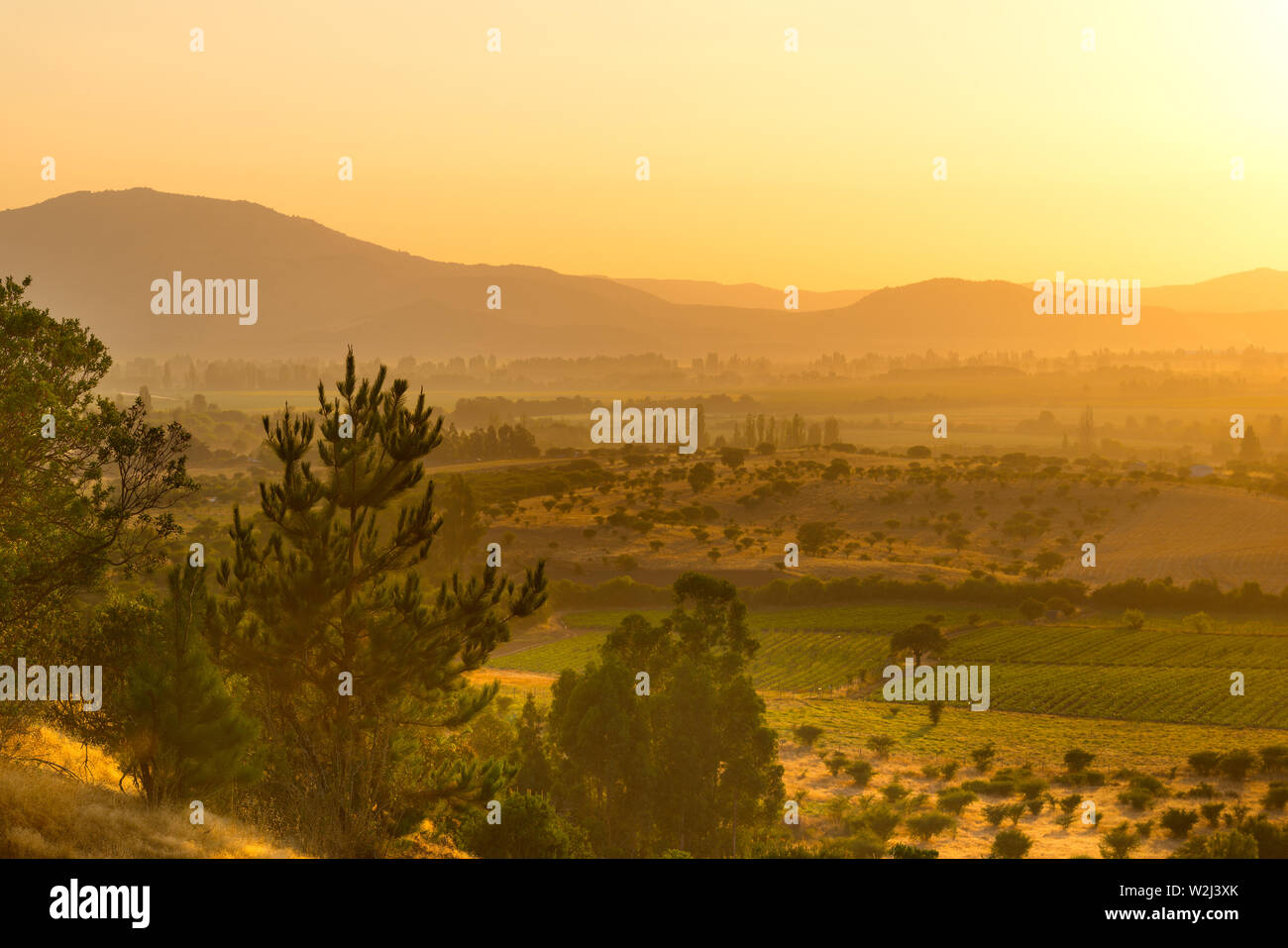 Talca province hi-res stock photography and images - Alamy