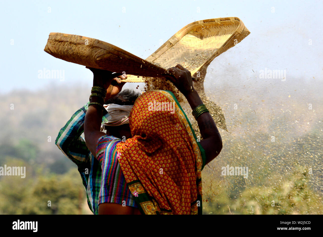 Winnowing or wind winnowing Stock Photo - Alamy