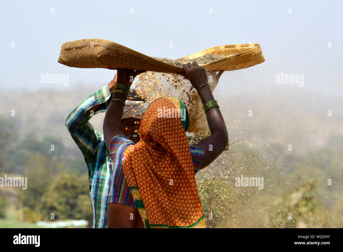 Winnowing or wind winnowing Stock Photo - Alamy