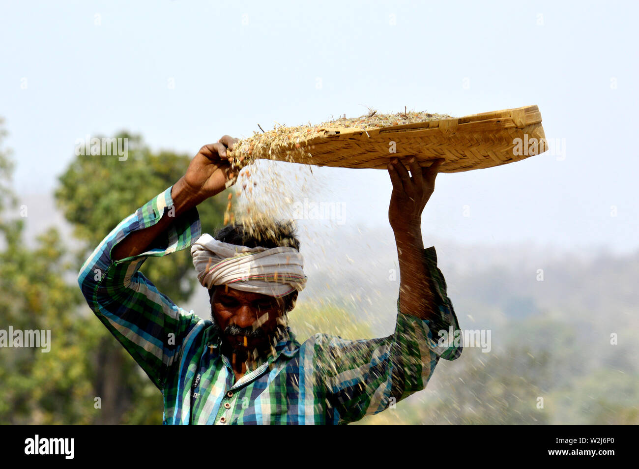 Winnowing or wind winnowing Stock Photo - Alamy