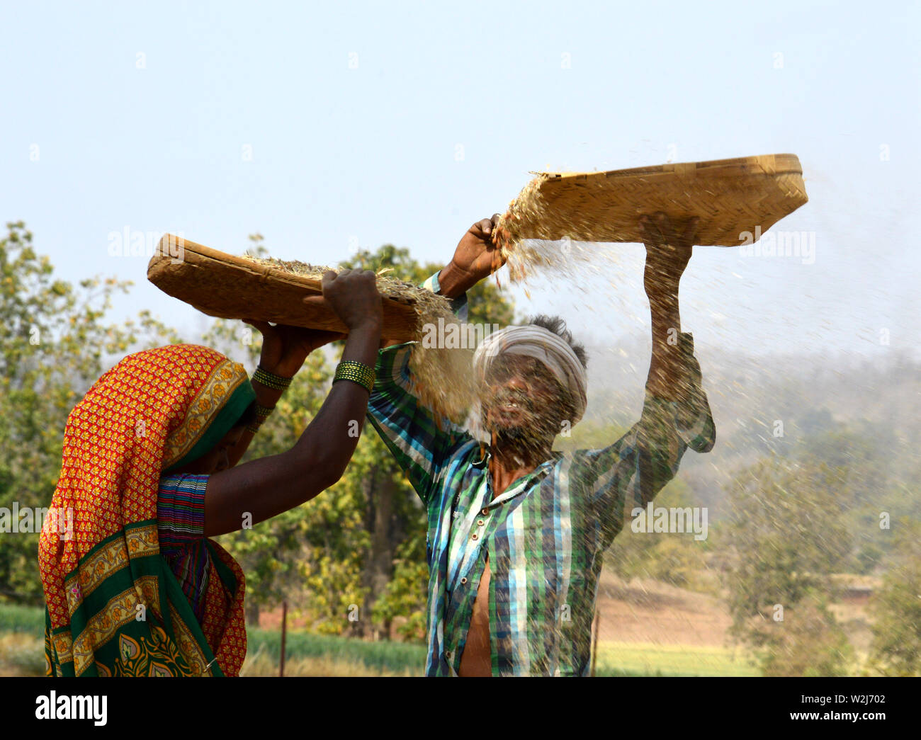 Winnowing or wind winnowing Stock Photo - Alamy