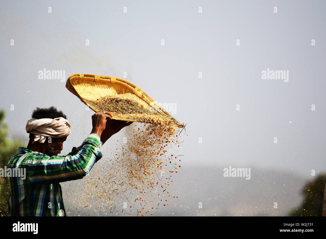 Winnowing or wind winnowing Stock Photo - Alamy
