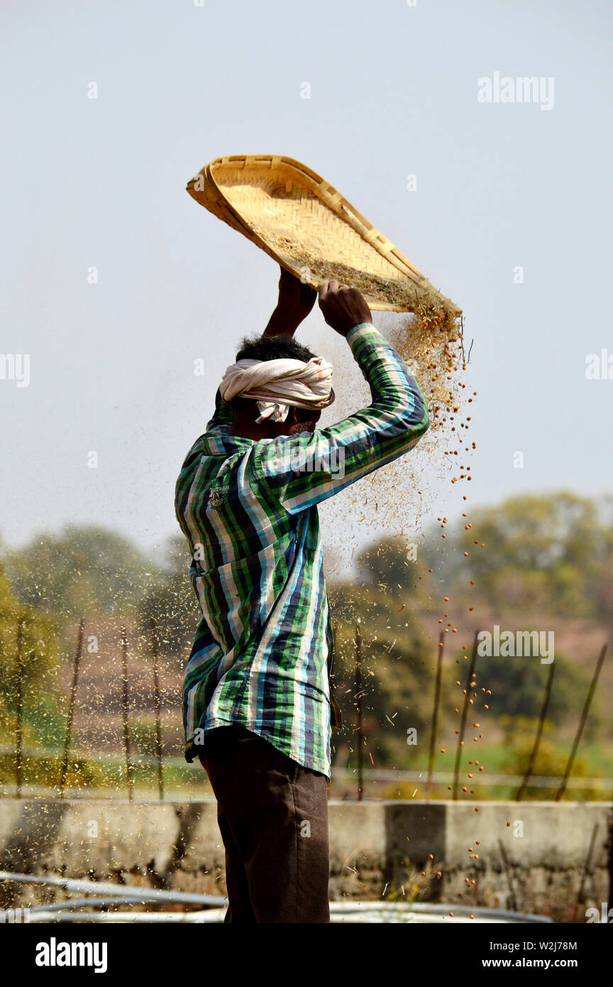 Wind winnowing hi-res stock photography and images - Alamy