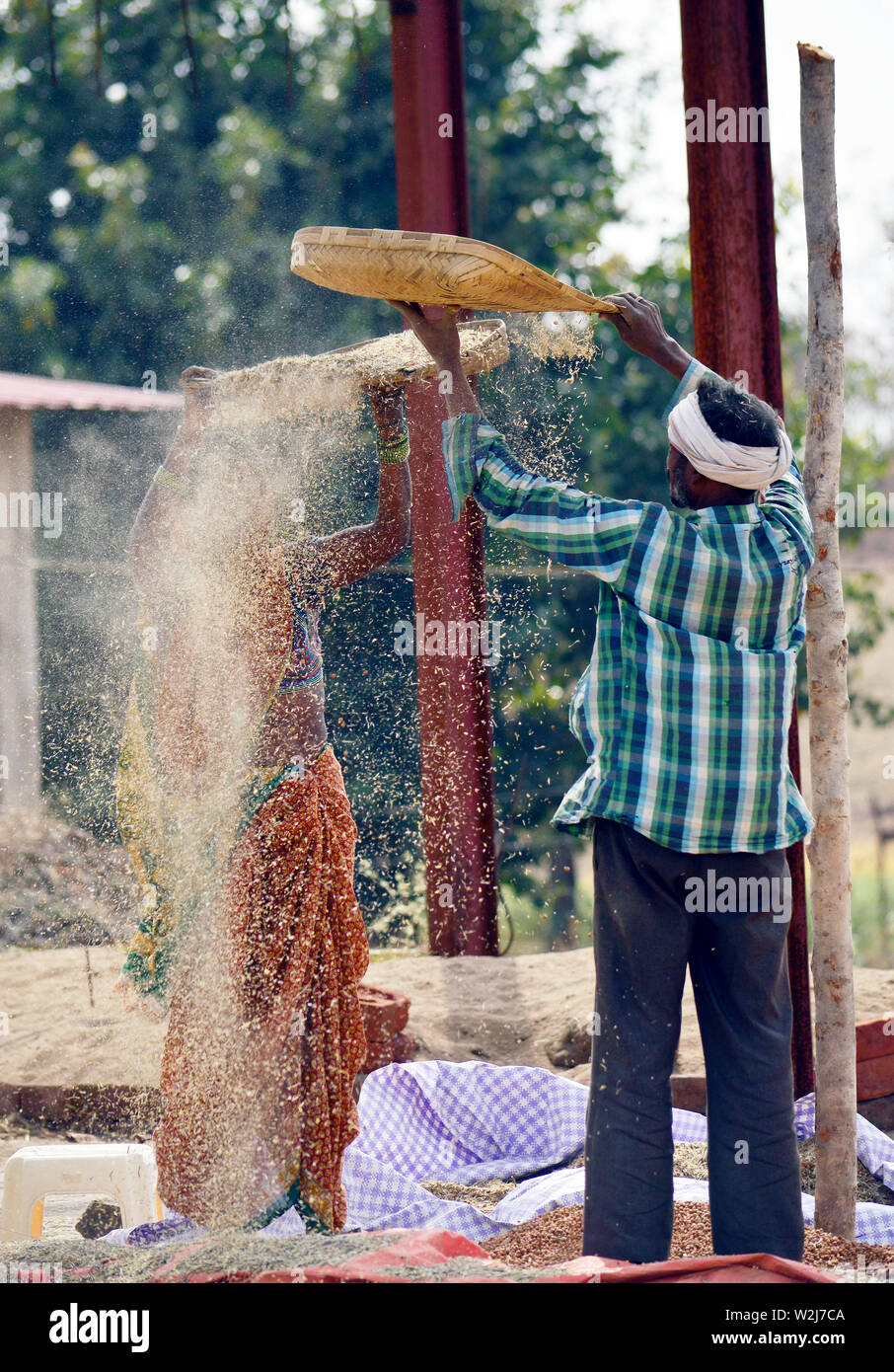 Winnowing or wind winnowing Stock Photo - Alamy