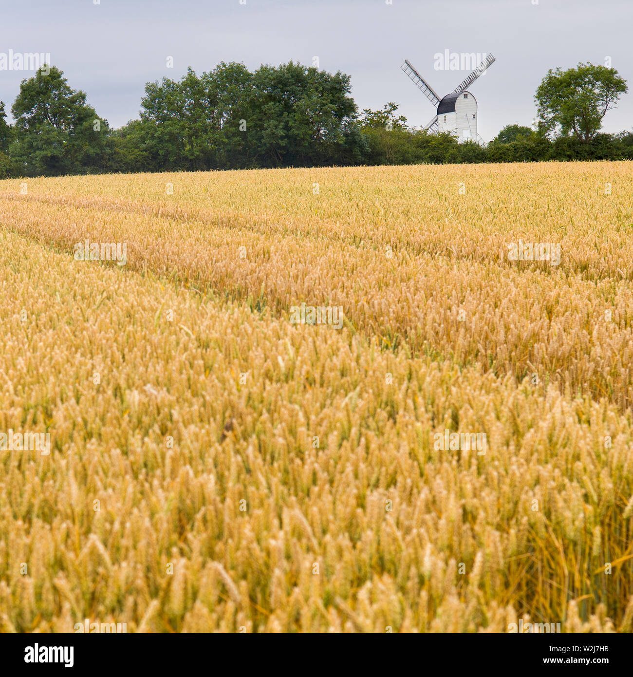 Mountnessing essex hi-res stock photography and images - Alamy