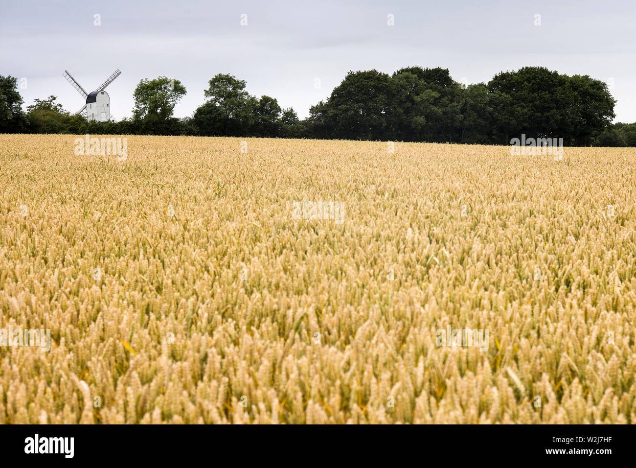 Mountnessing essex hi-res stock photography and images - Alamy