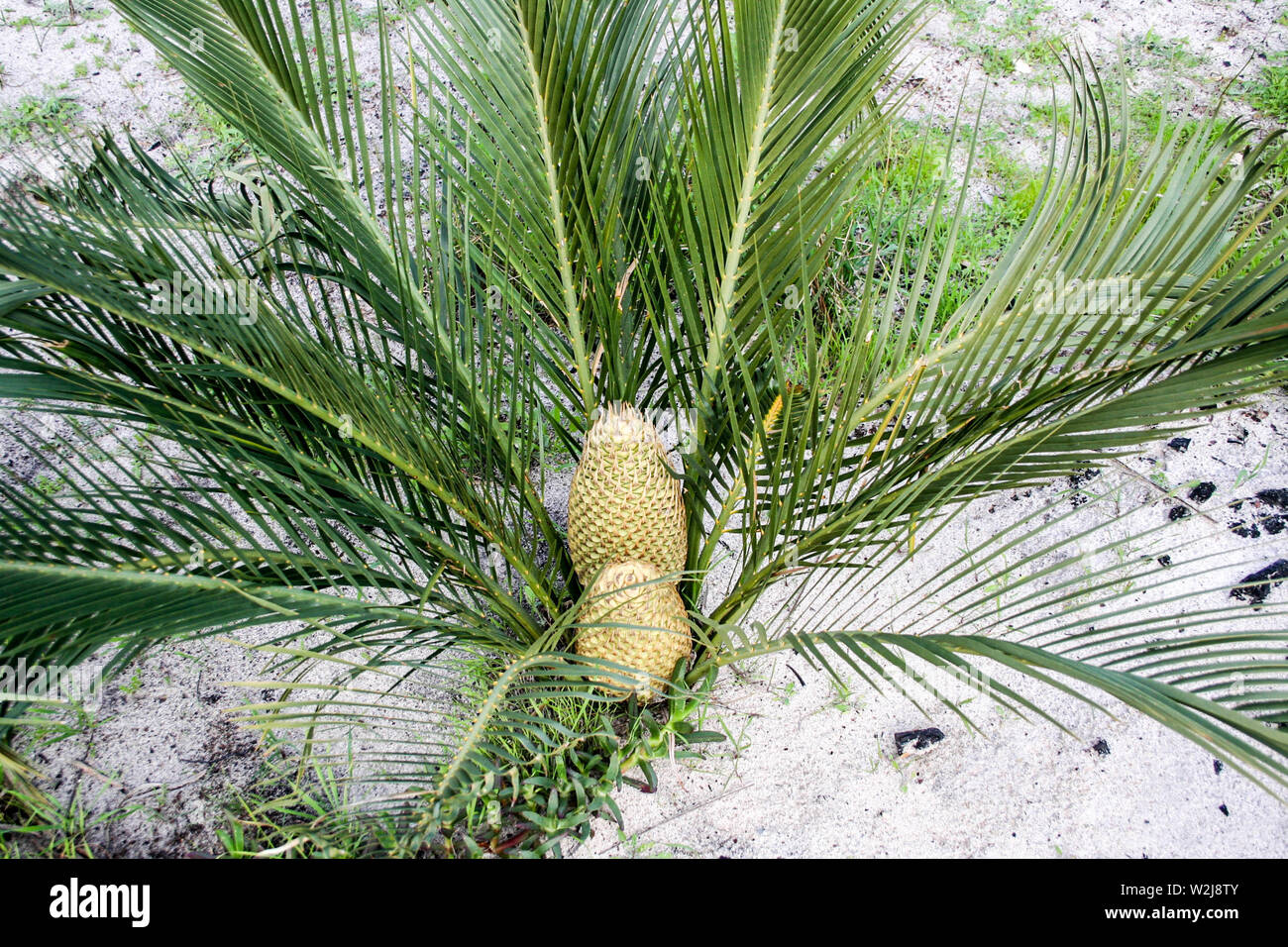 The Spectacles Walk Trail, Perth Stock Photo - Alamy