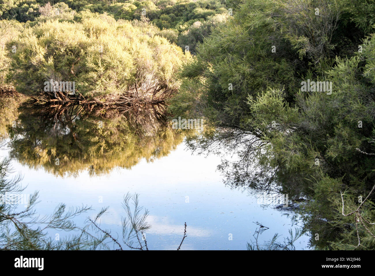 The Spectacles Walk Trail, Perth Stock Photo - Alamy