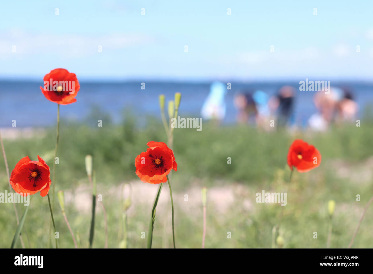 Sweden Beach High Resolution Stock Photography and Images - Alamy