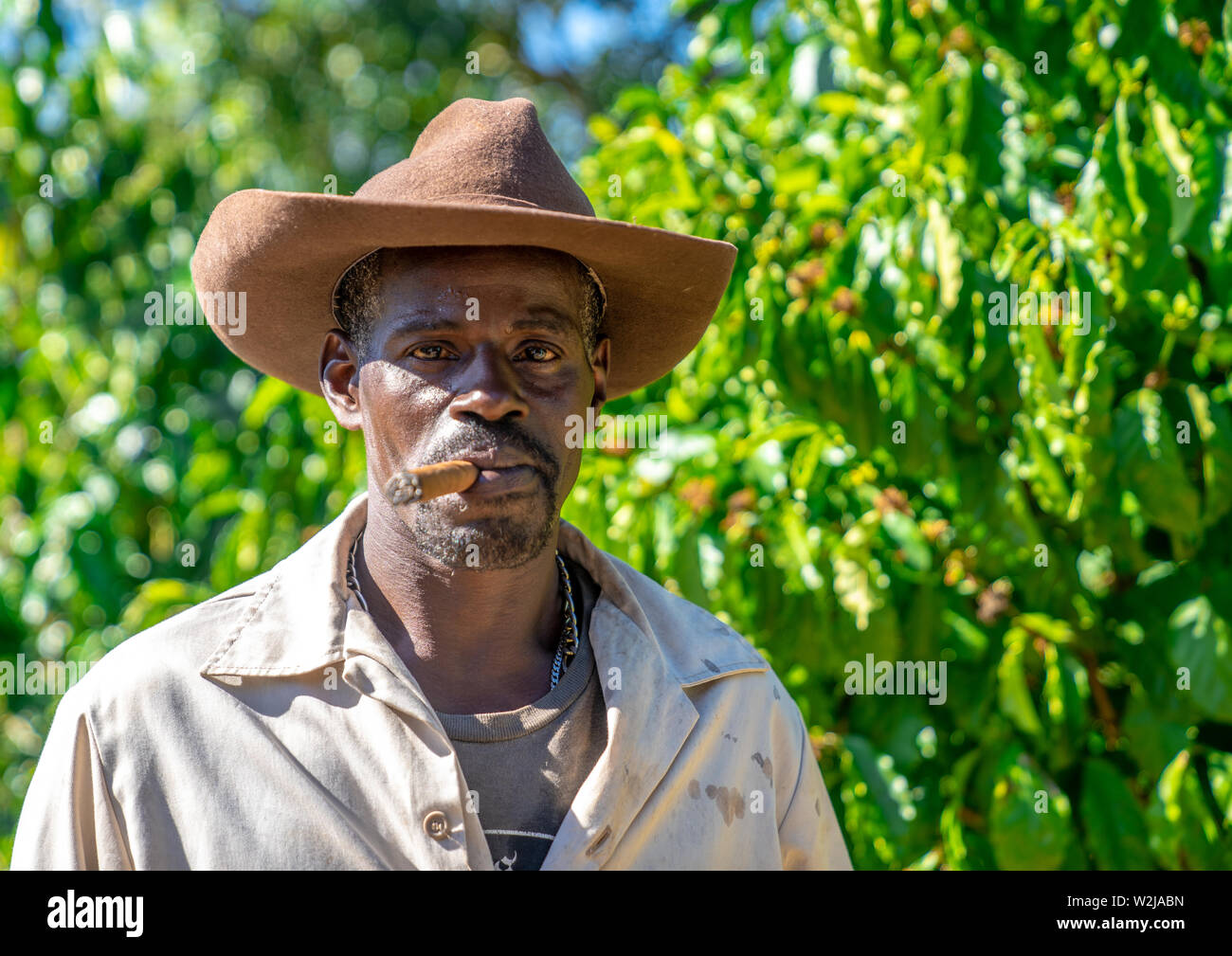 Life of a cowboy hi-res stock photography and images - Alamy