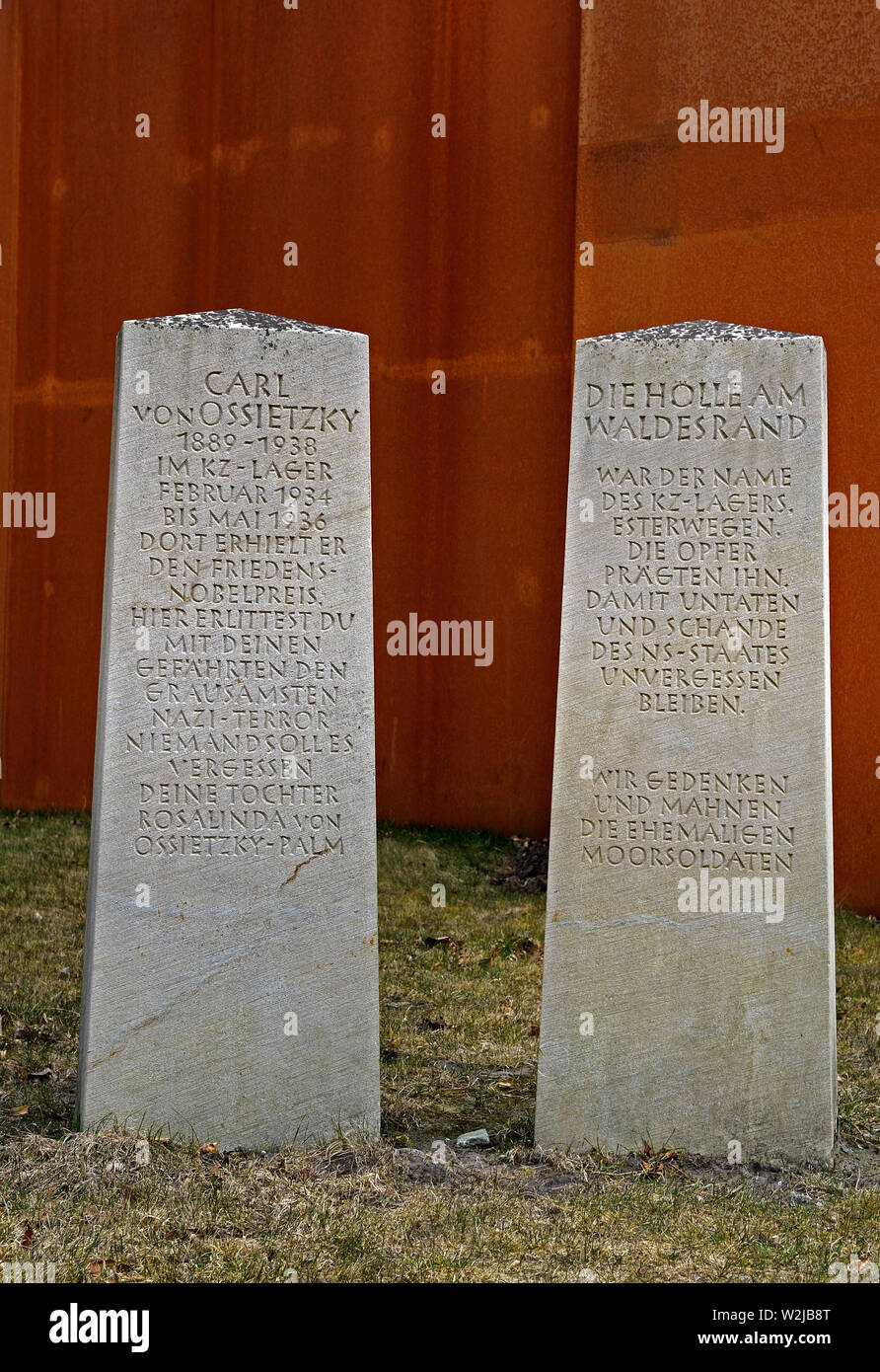 Peat bog soldiers hi-res stock photography and images - Alamy