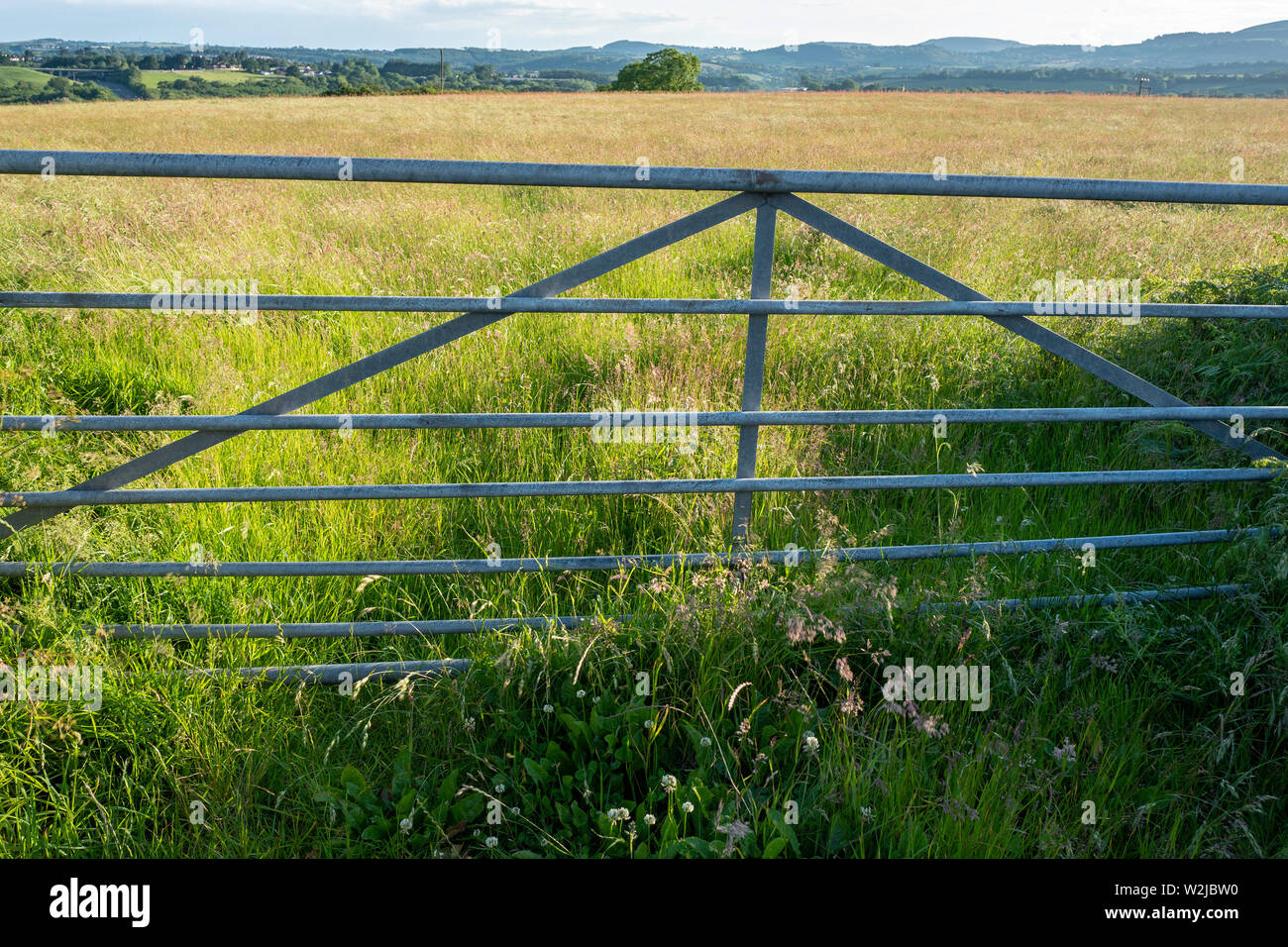 Metal farm gate hi-res stock photography and images - Alamy