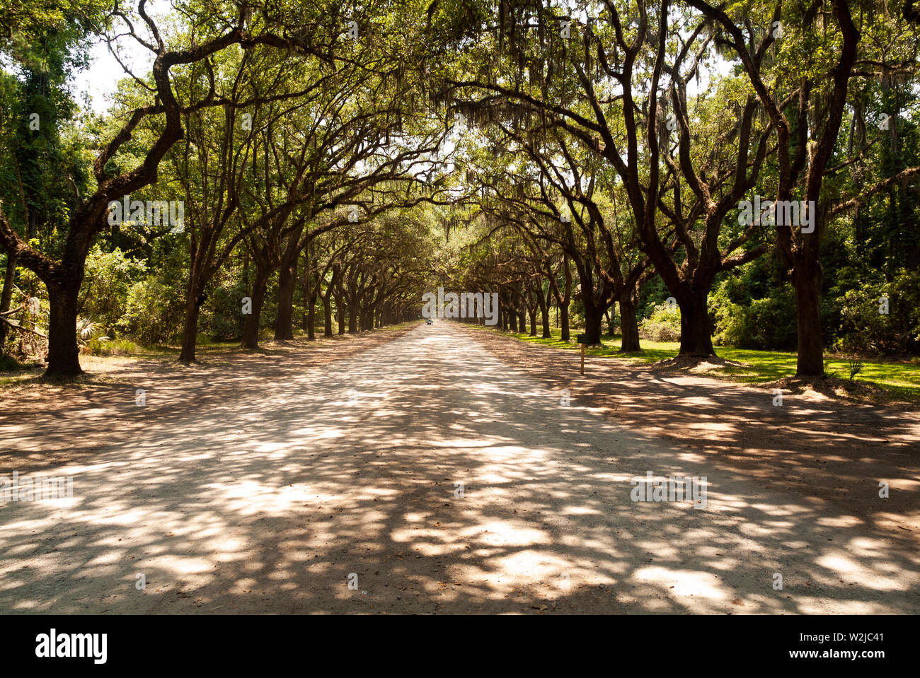 Slavery South America High Resolution Stock Photography and Images - Alamy