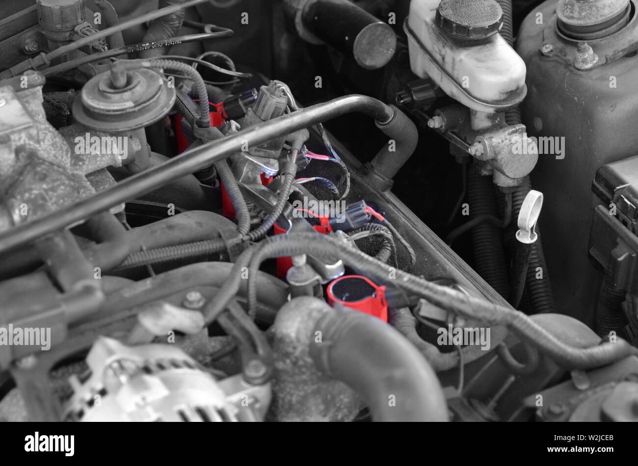 FIRE STARTER: Red spark plugs contrast against a monochrome engine ...