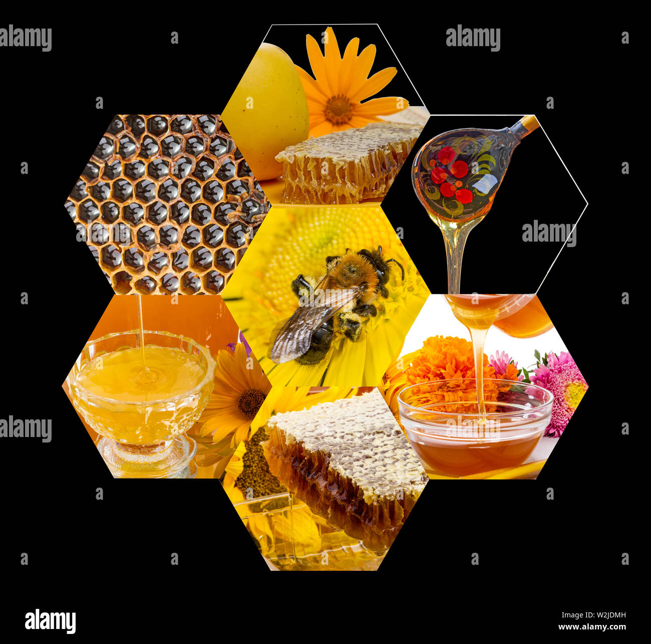Honeycomb collage with honey and bee Stock Photo - Alamy