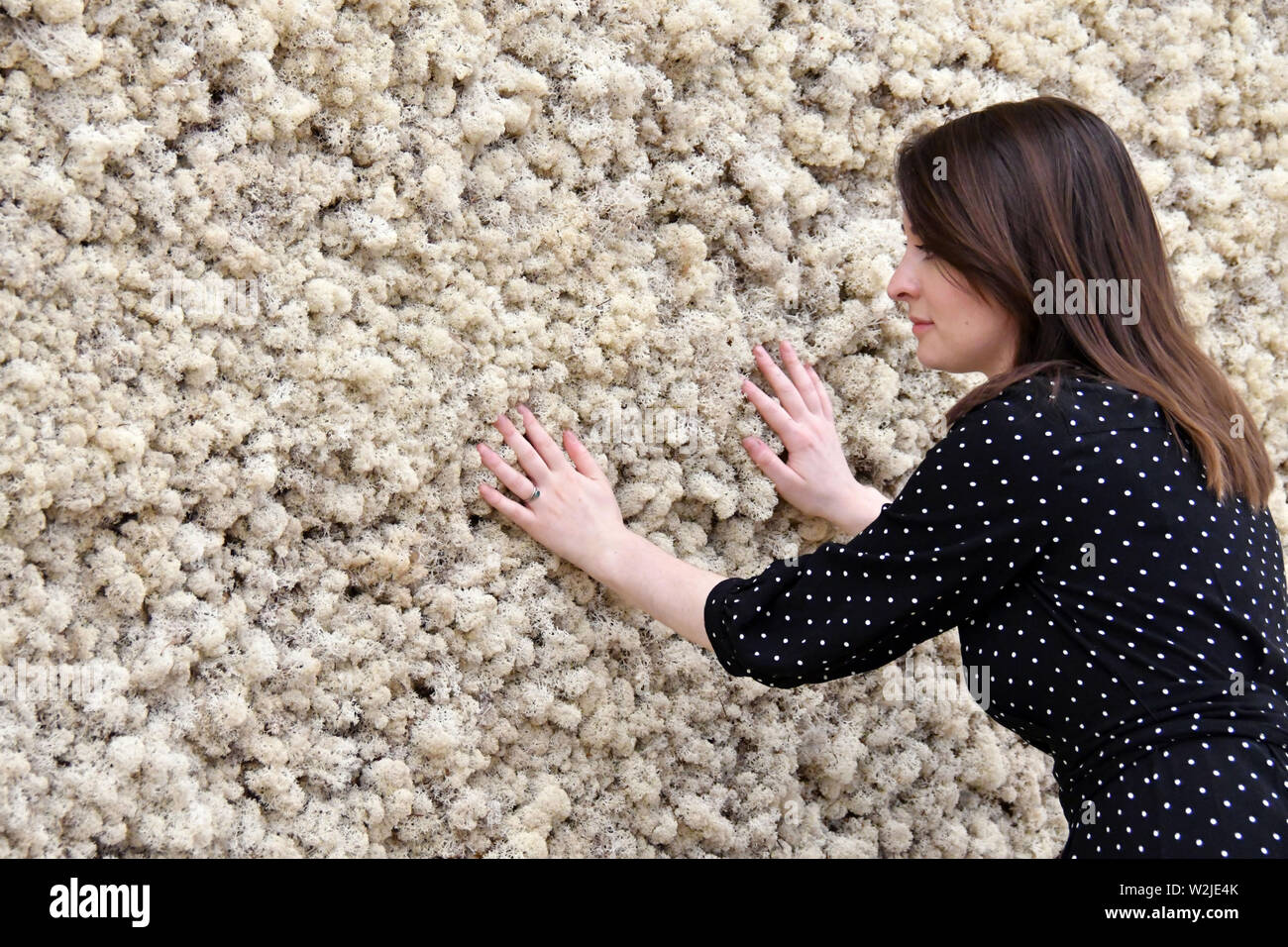 Tate Modern, London, UK. 9th July 2019. Olafur Eliasson, Moss wall 1994 ...