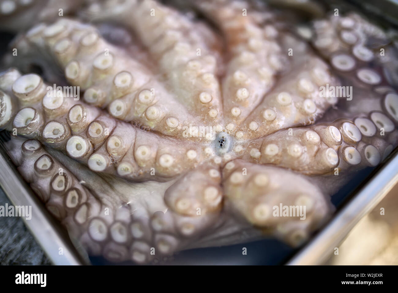 Chrome tray hi-res stock photography and images - Alamy