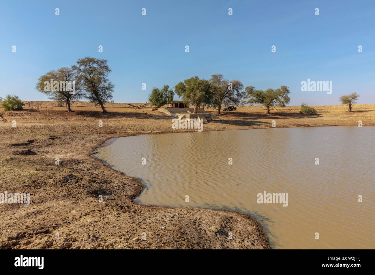 Mammals of thar desert hi-res stock photography and images - Alamy