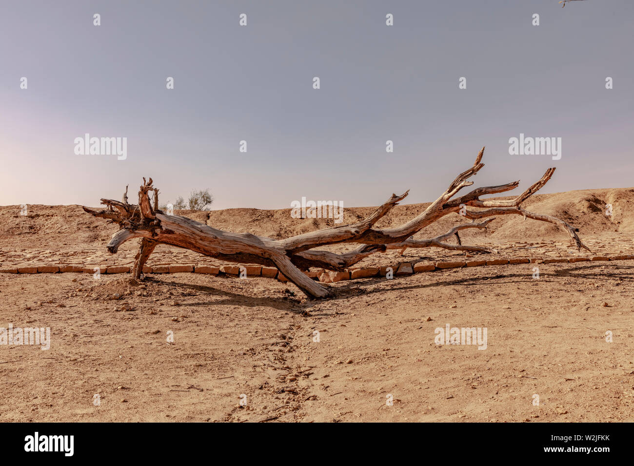 thar desert landscape, view of thar zone, in the rajasthan Stock Photo ...