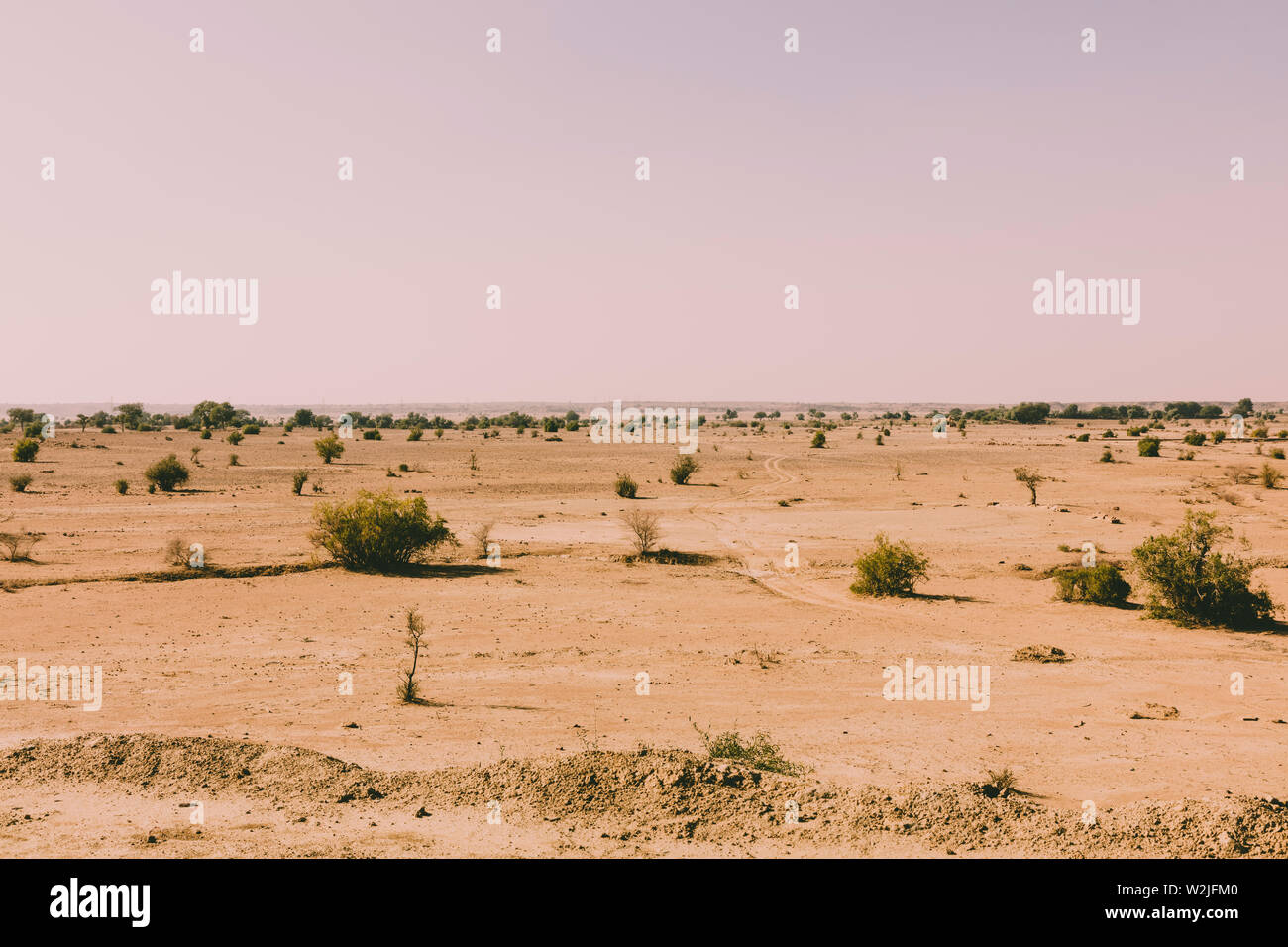 thar desert landscape, view of thar zone, in the rajasthan Stock Photo ...