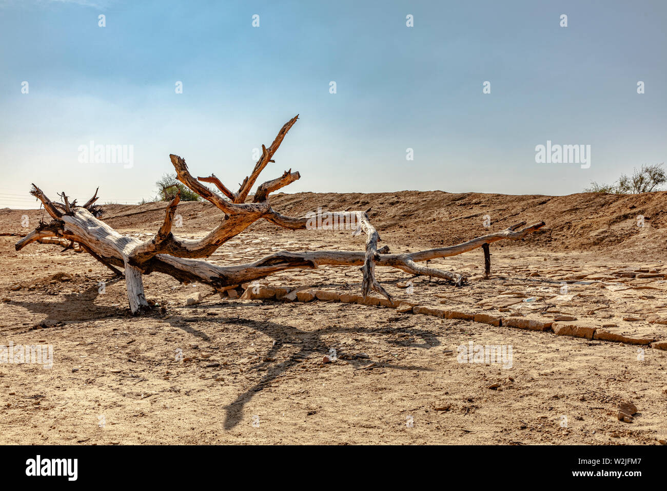 thar desert landscape, view of thar zone, in the rajasthan Stock Photo ...