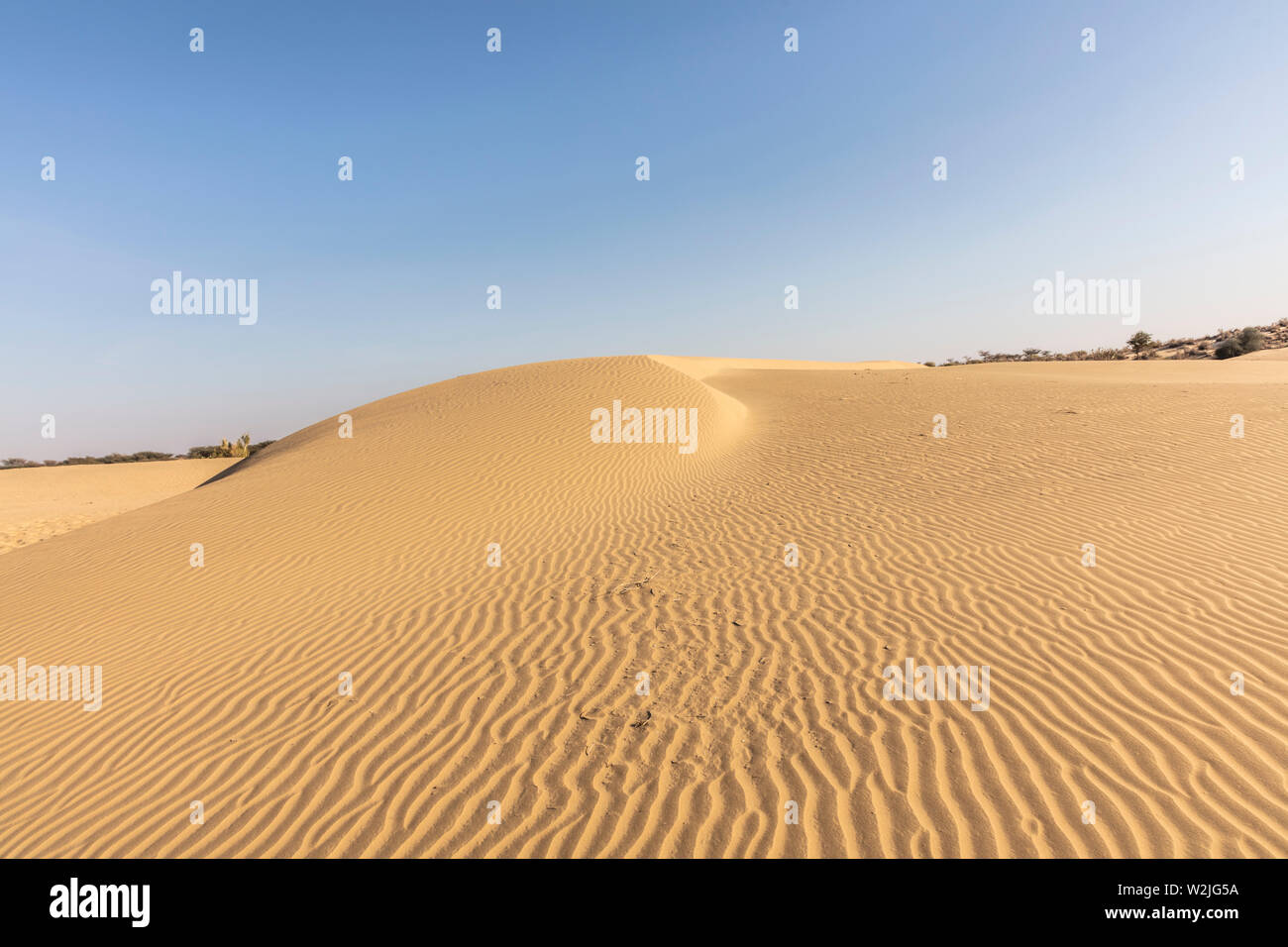 thar desert landscape, view of thar zone, in the rajasthan Stock Photo ...