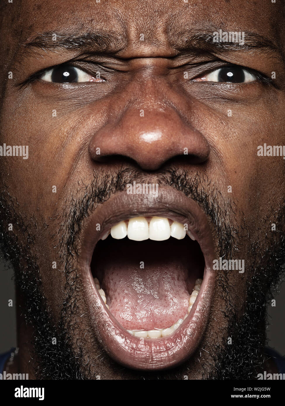 Close up portrait of young and emotional african-american man. Highly ...